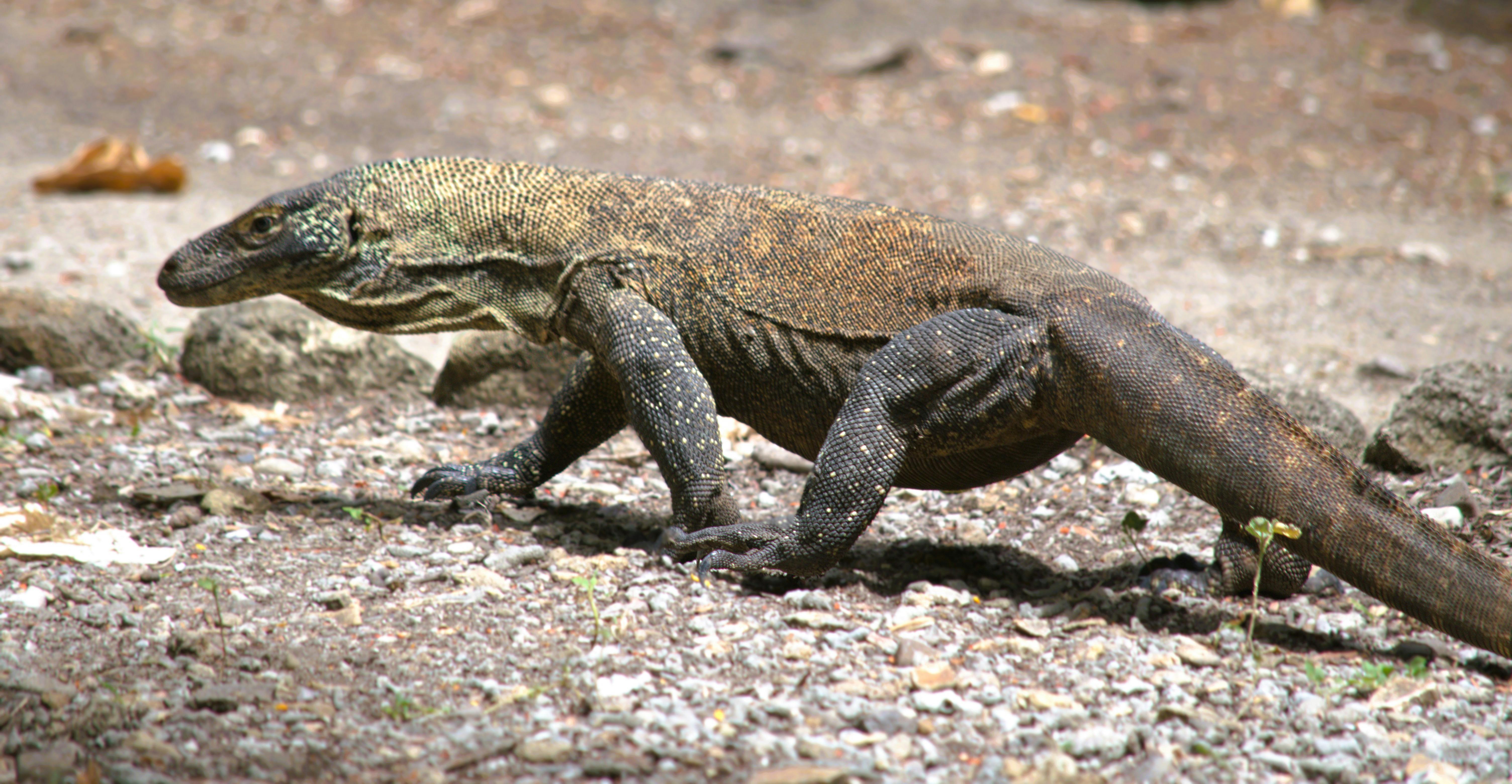 Joyston Judah - Photography