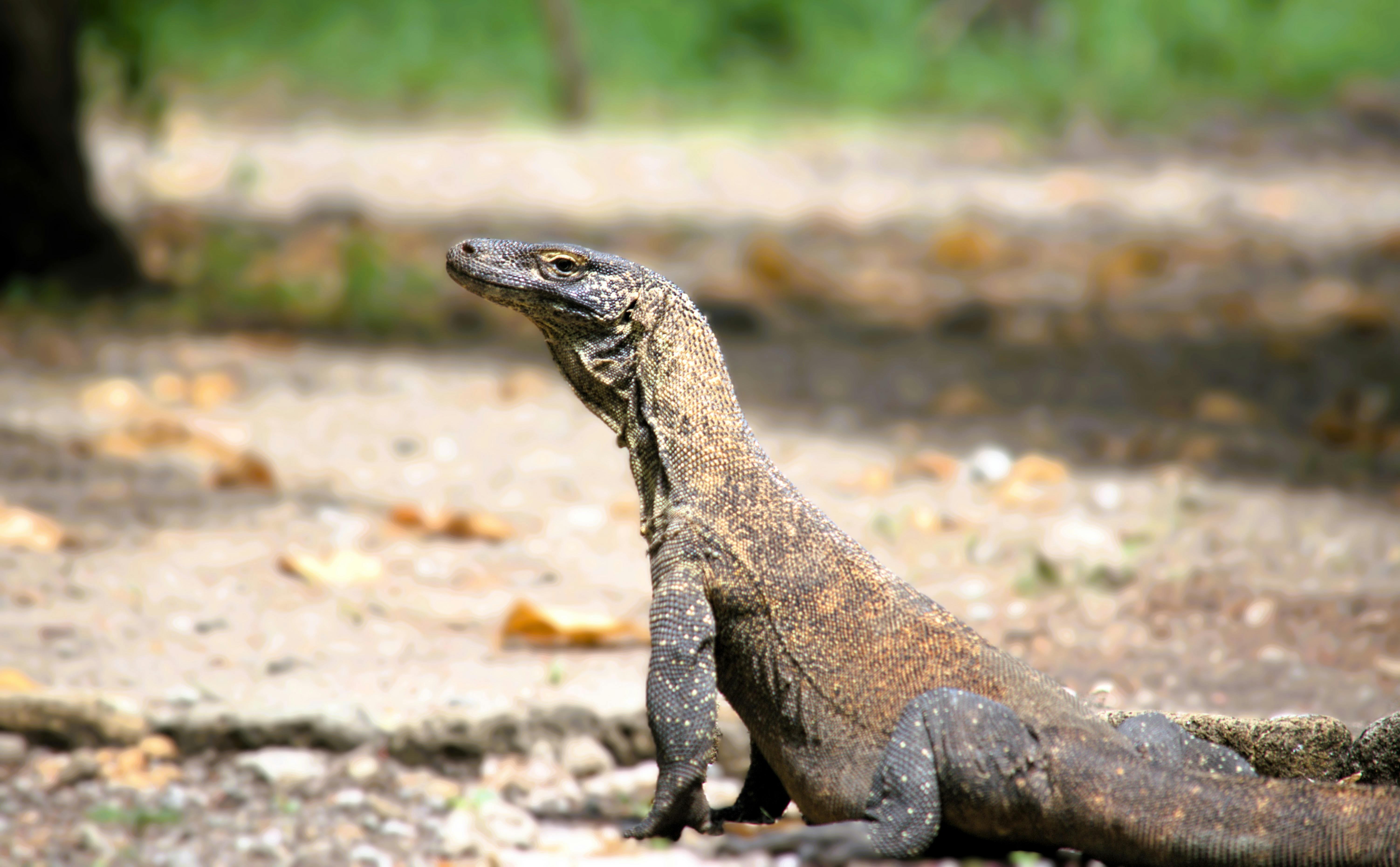 Joyston Judah - Photography