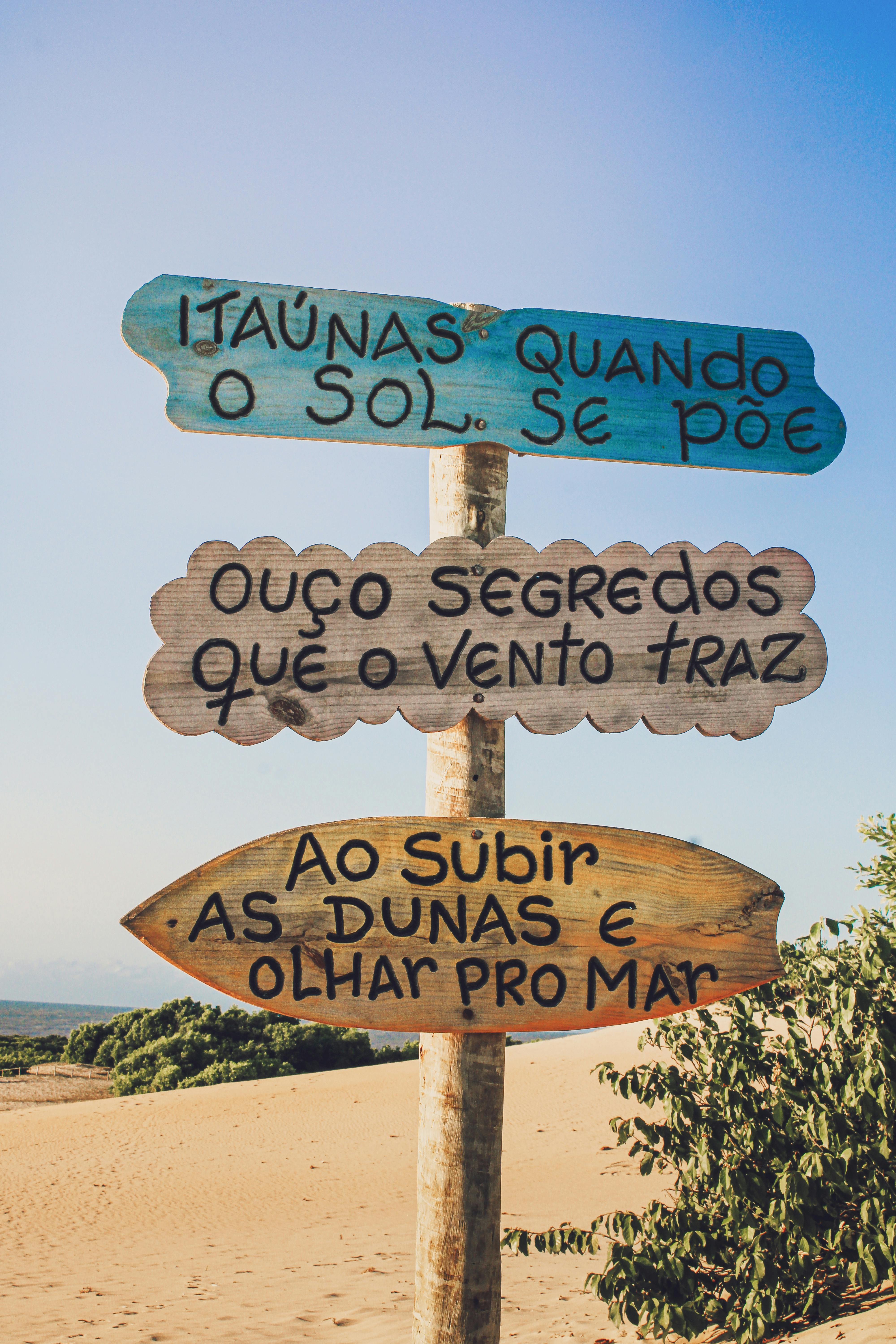 A wooden sign with different signs pointing to different directions ...