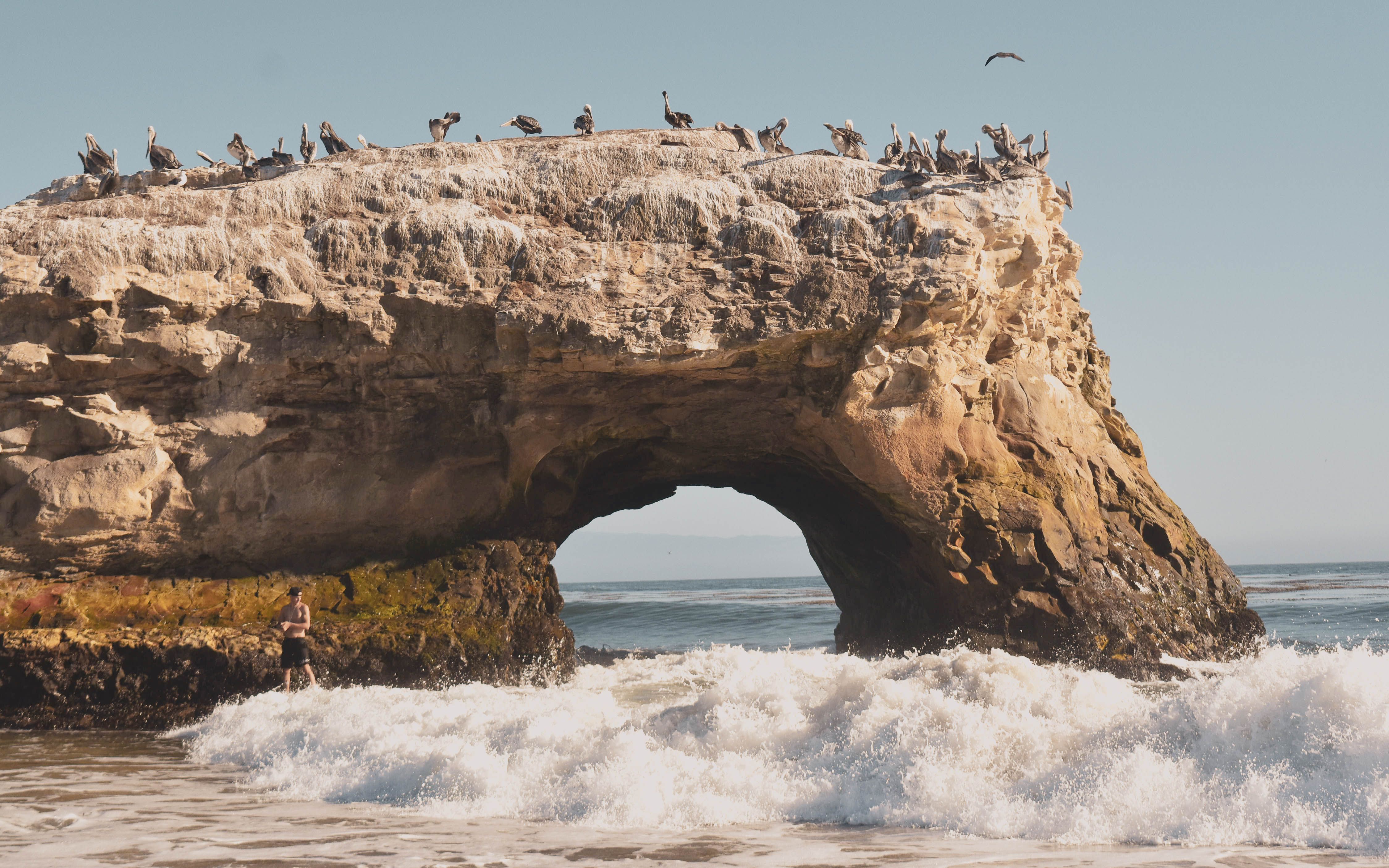 Lock Screen Sea Birds Wallpaper 4k Photos, Download The BEST Free Lock ...