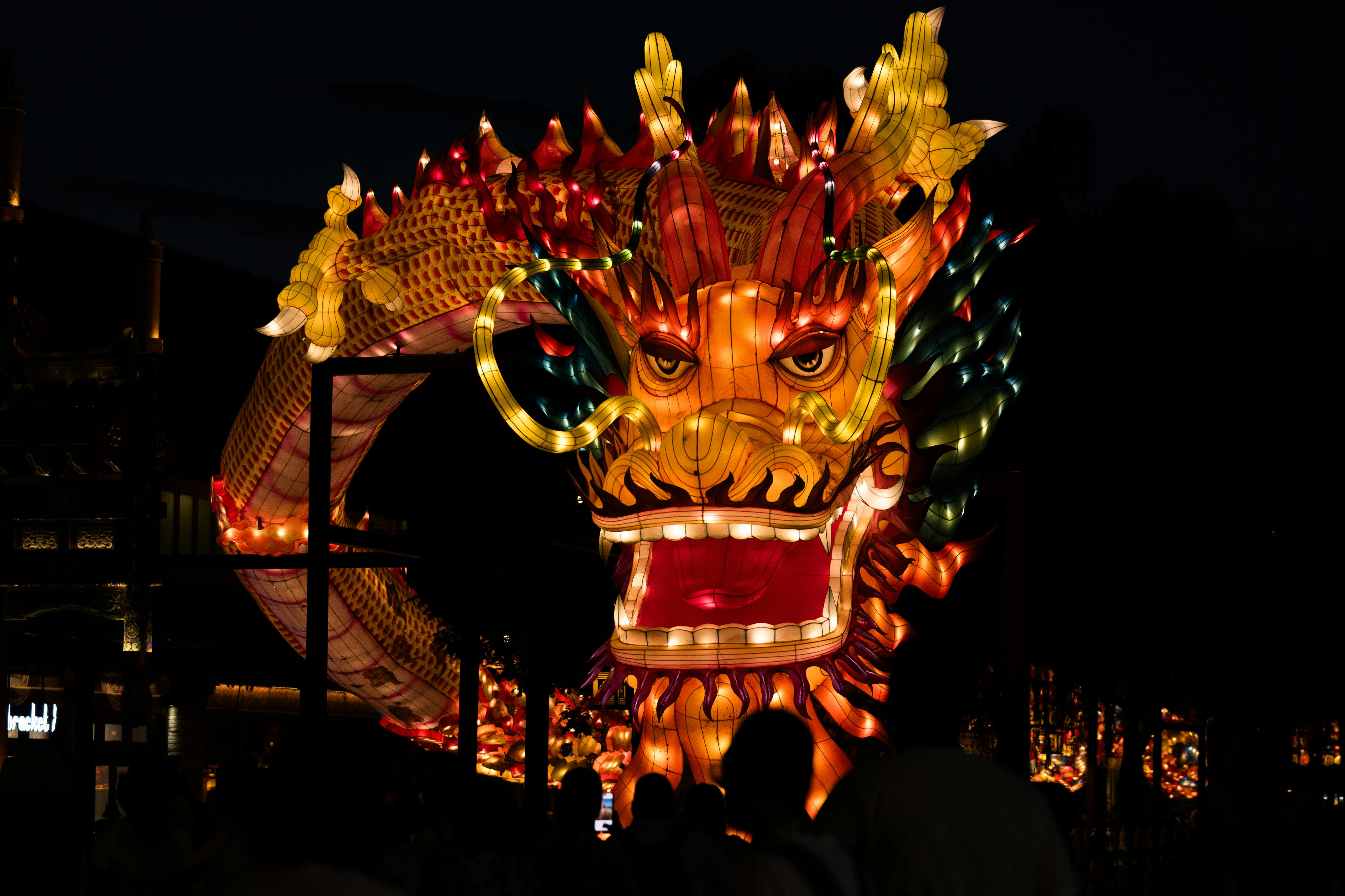 A large dragon head is lit up at night · Free Stock Photo