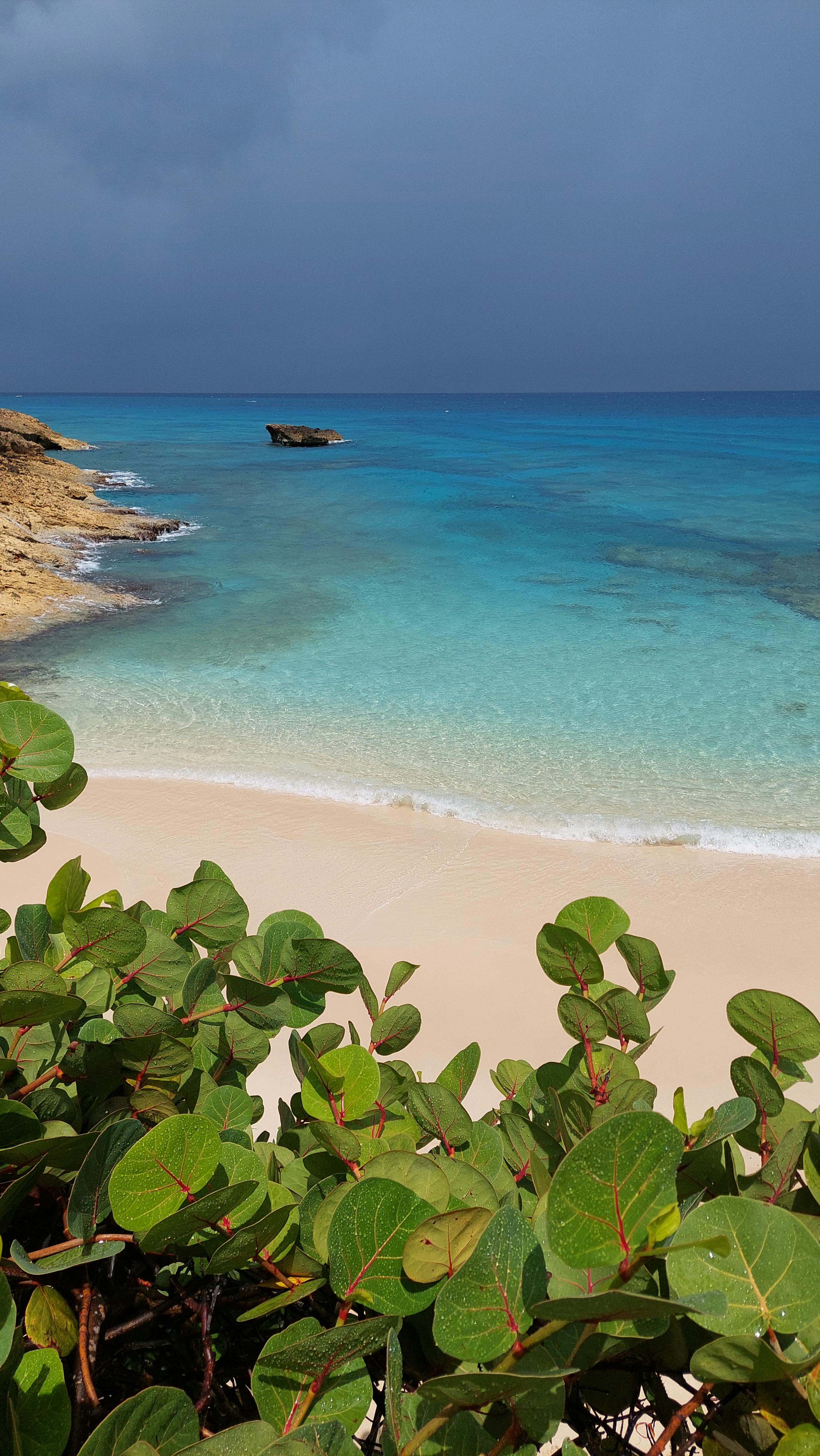 Ocean View during Daylight · Free Stock Photo