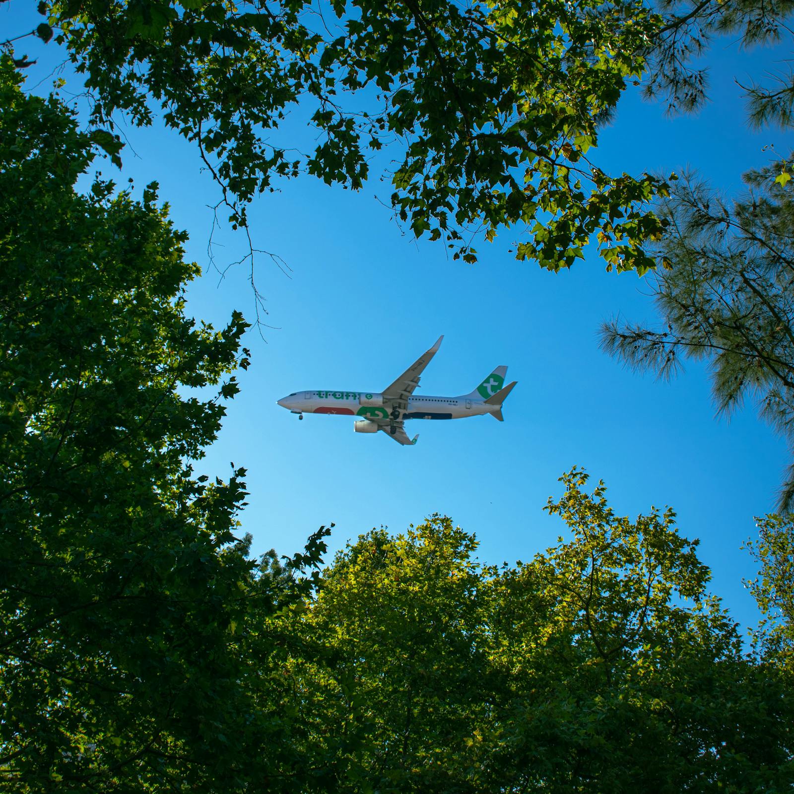 Forest Airplane Photos, Download The BEST Free Forest Airplane Stock ...