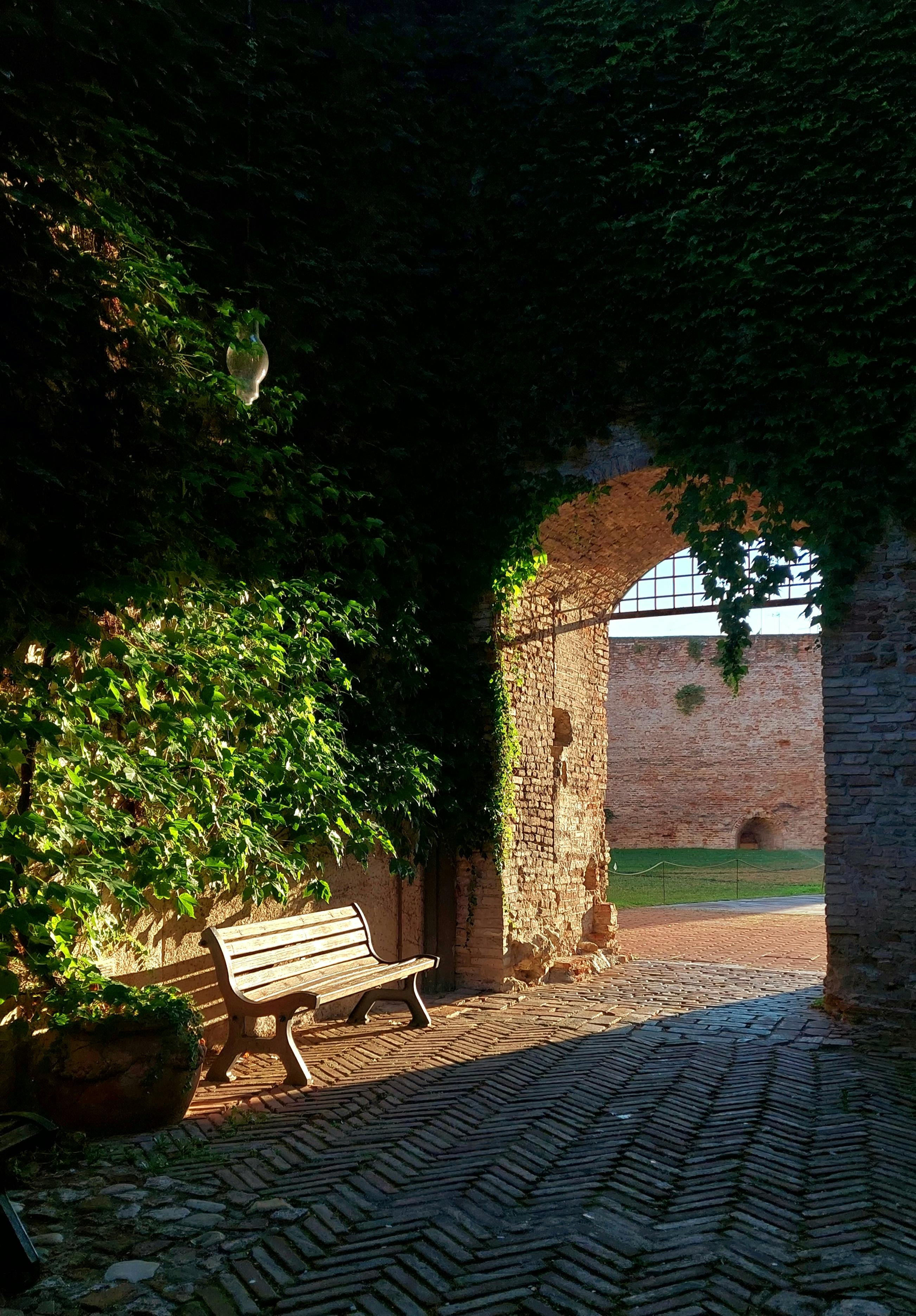 4k Facebook Covers Vines Flowers Photos, Download The BEST Free 4k ...