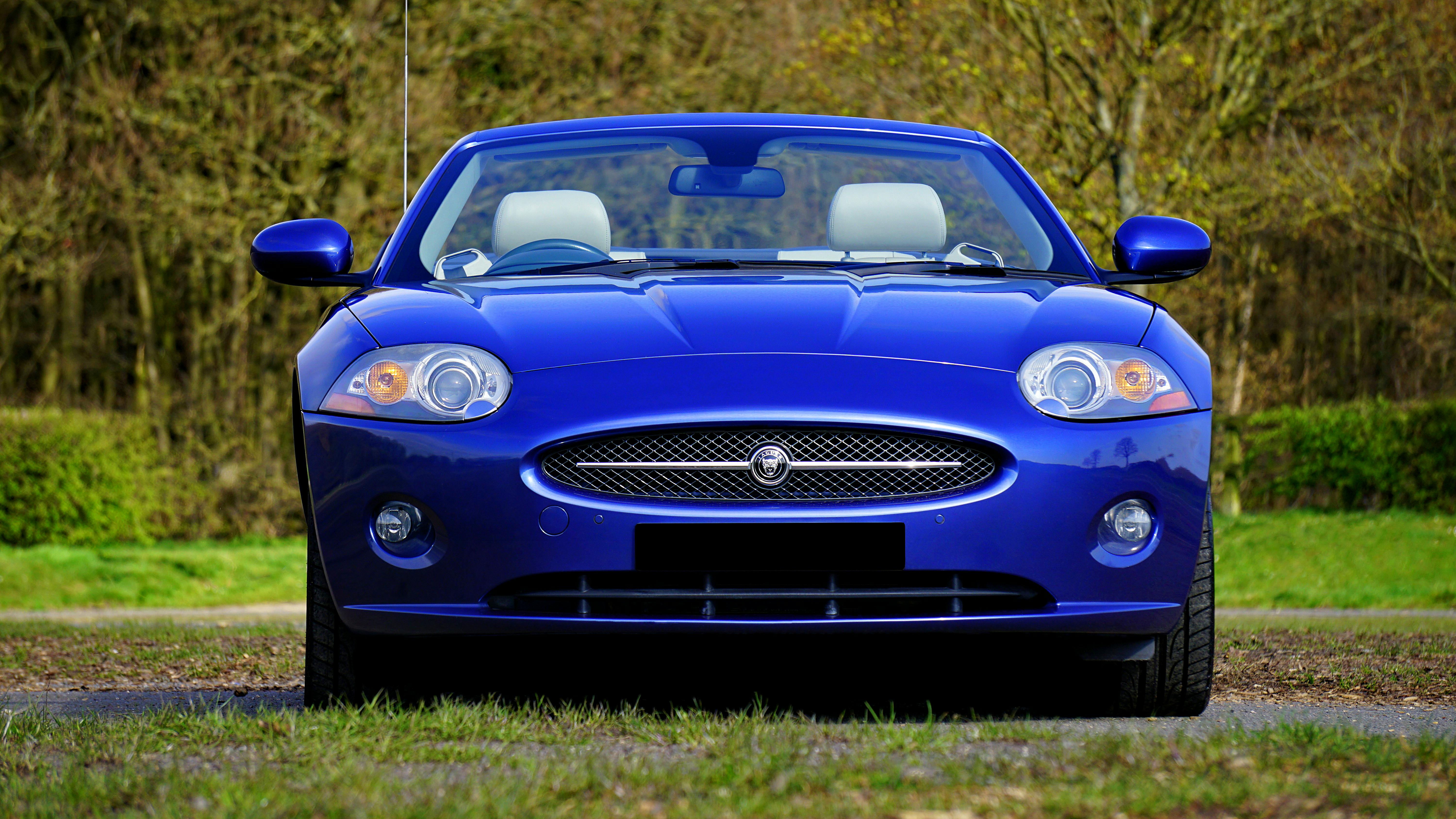 What Does Fein Mean? Discover The Surprising Origins And Uses