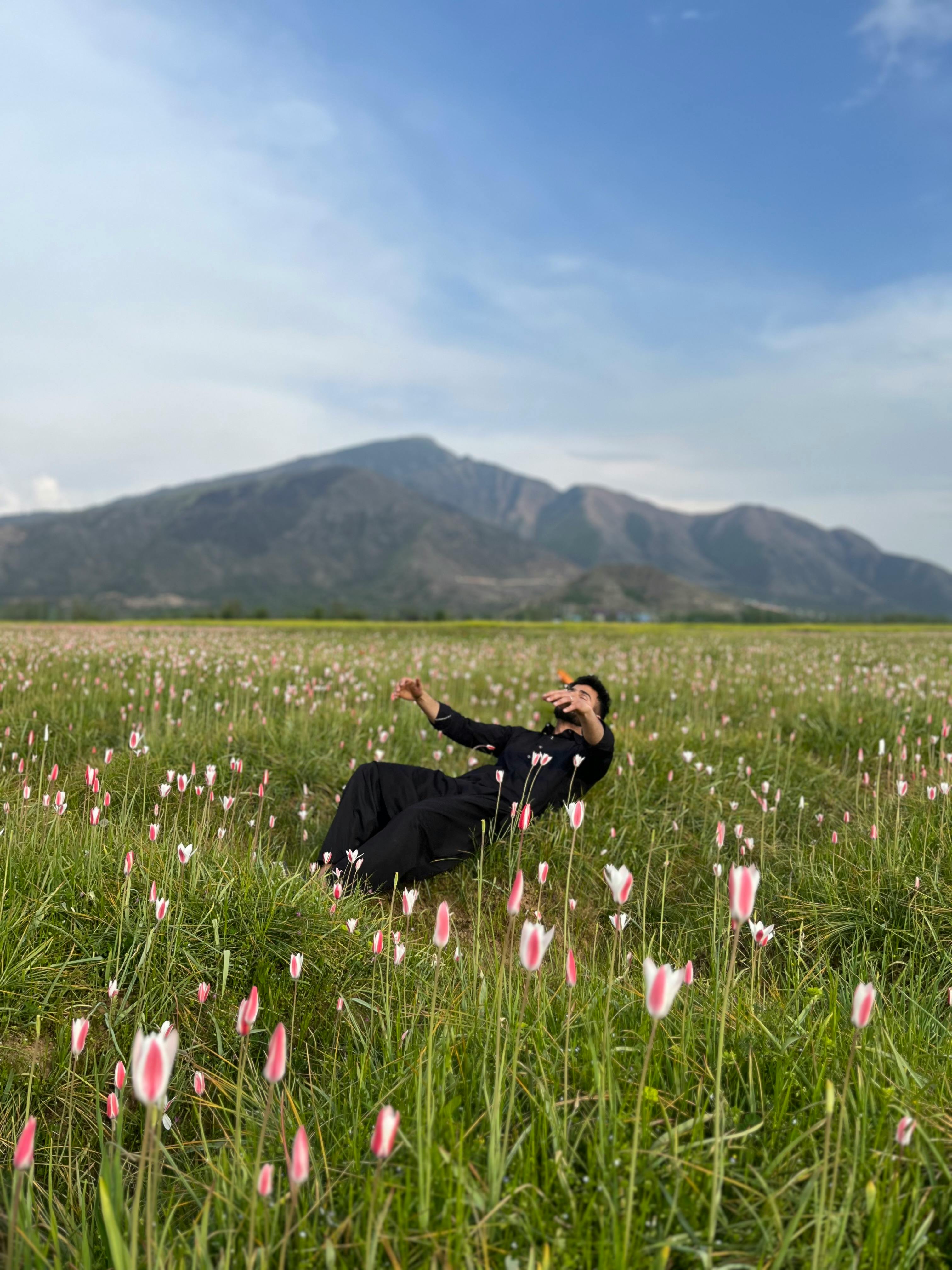 Summer Vidoes Photos, Download The BEST Free Summer Vidoes Stock Photos ...