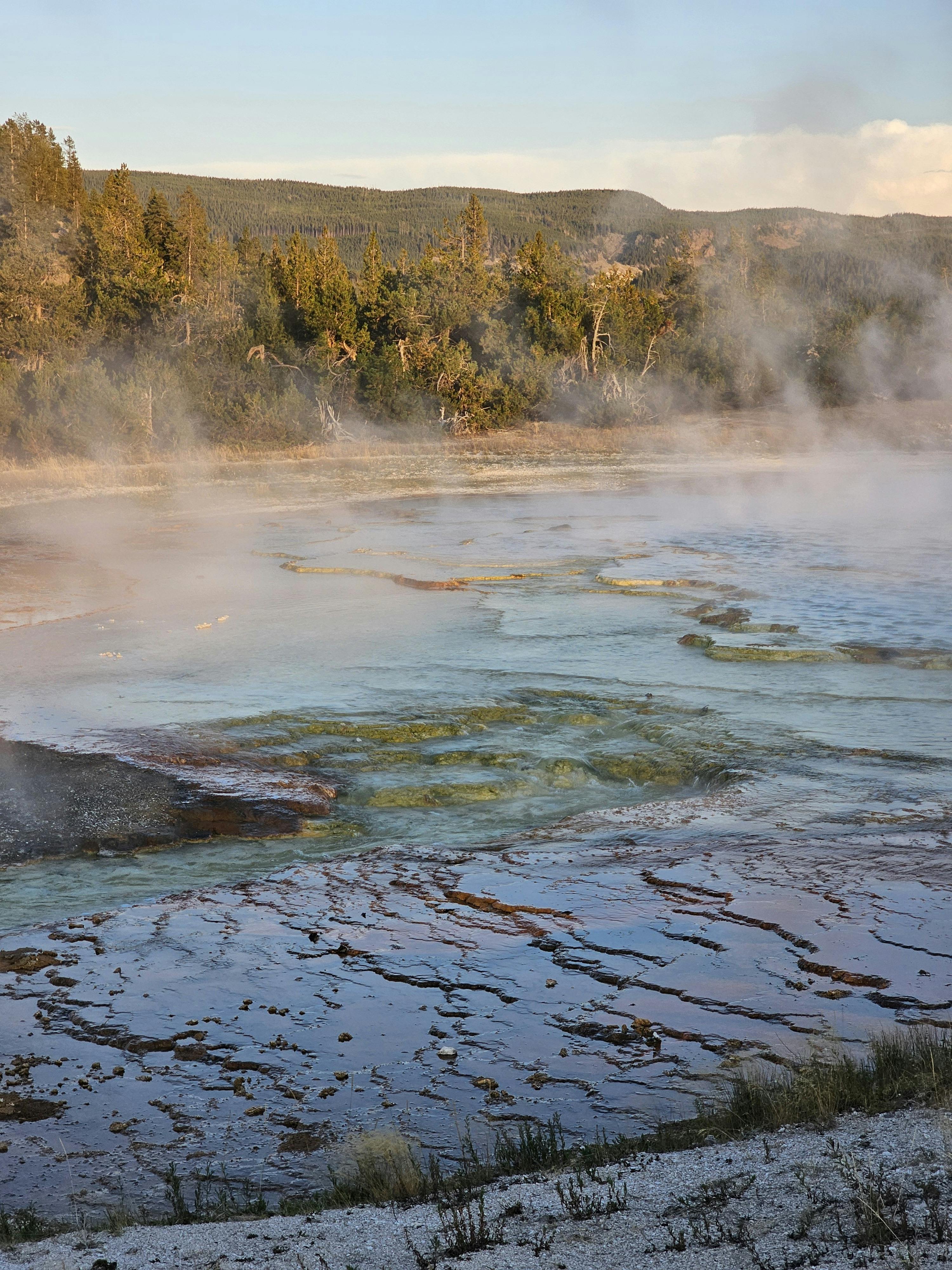 Yellowstone geysers and steam rising from the ground · Free Stock Photo