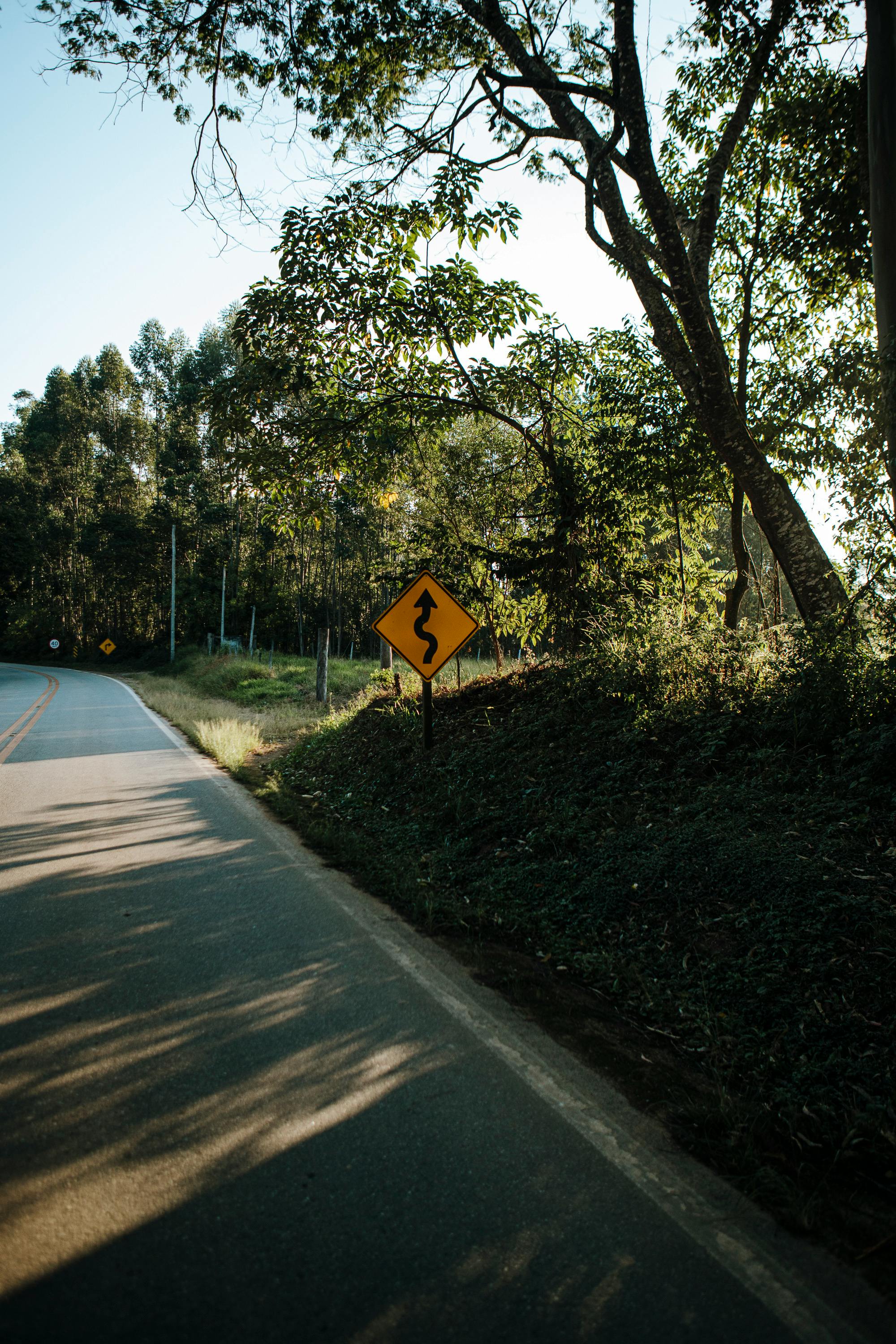 Emanuel Pedro - Photography