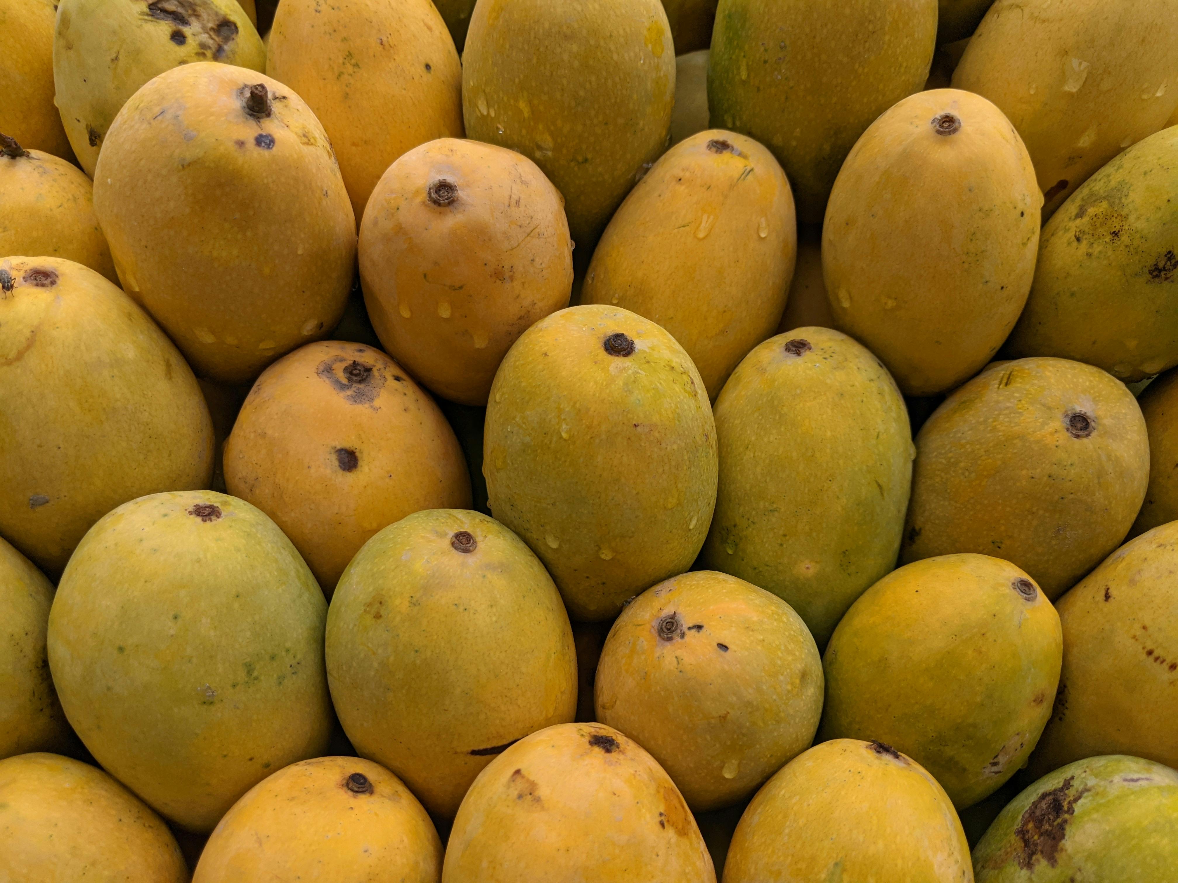 Mangoes are piled up in a pile · Free Stock Photo