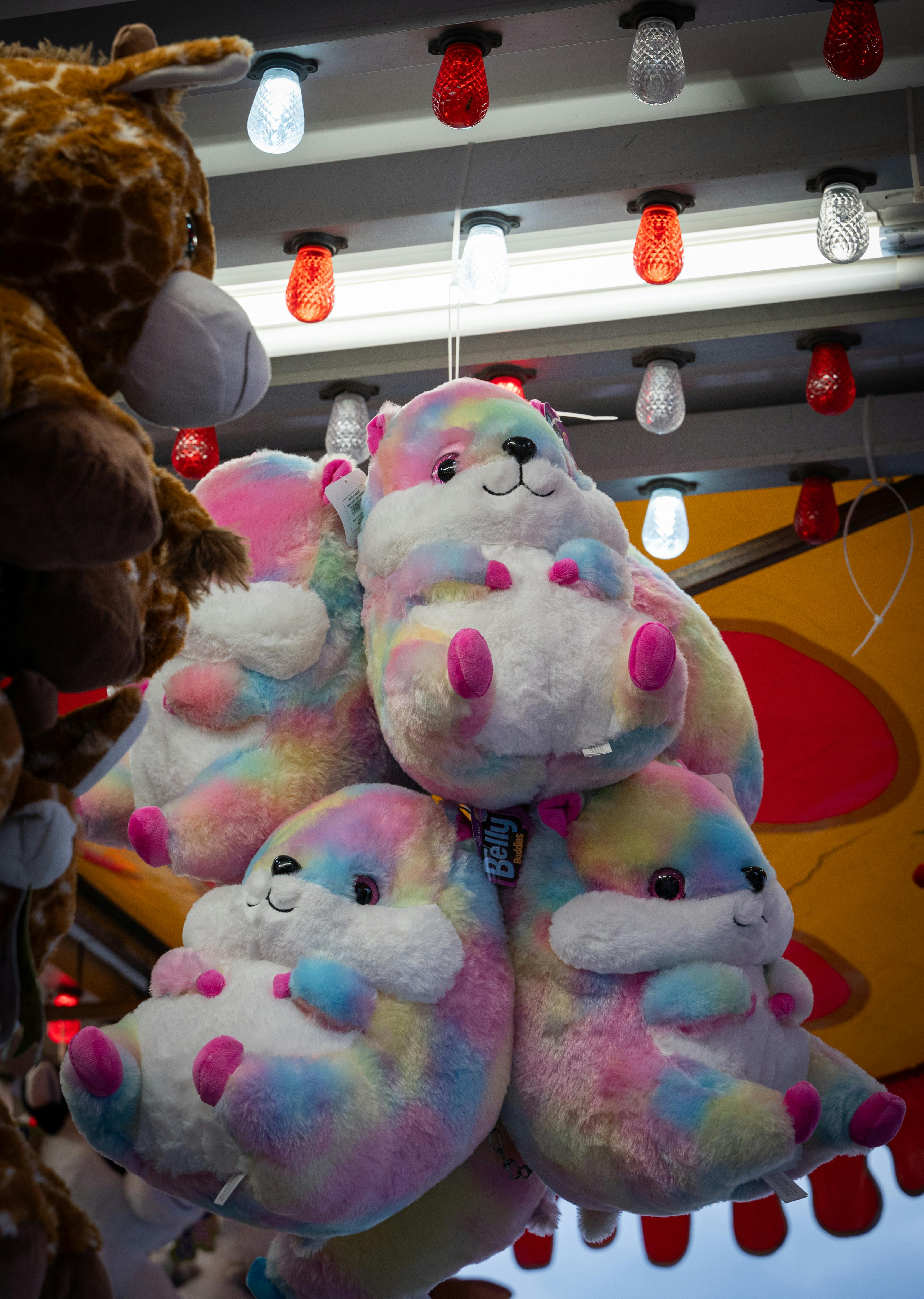 A bunch of stuffed animals hanging from a ceiling · Free Stock Photo