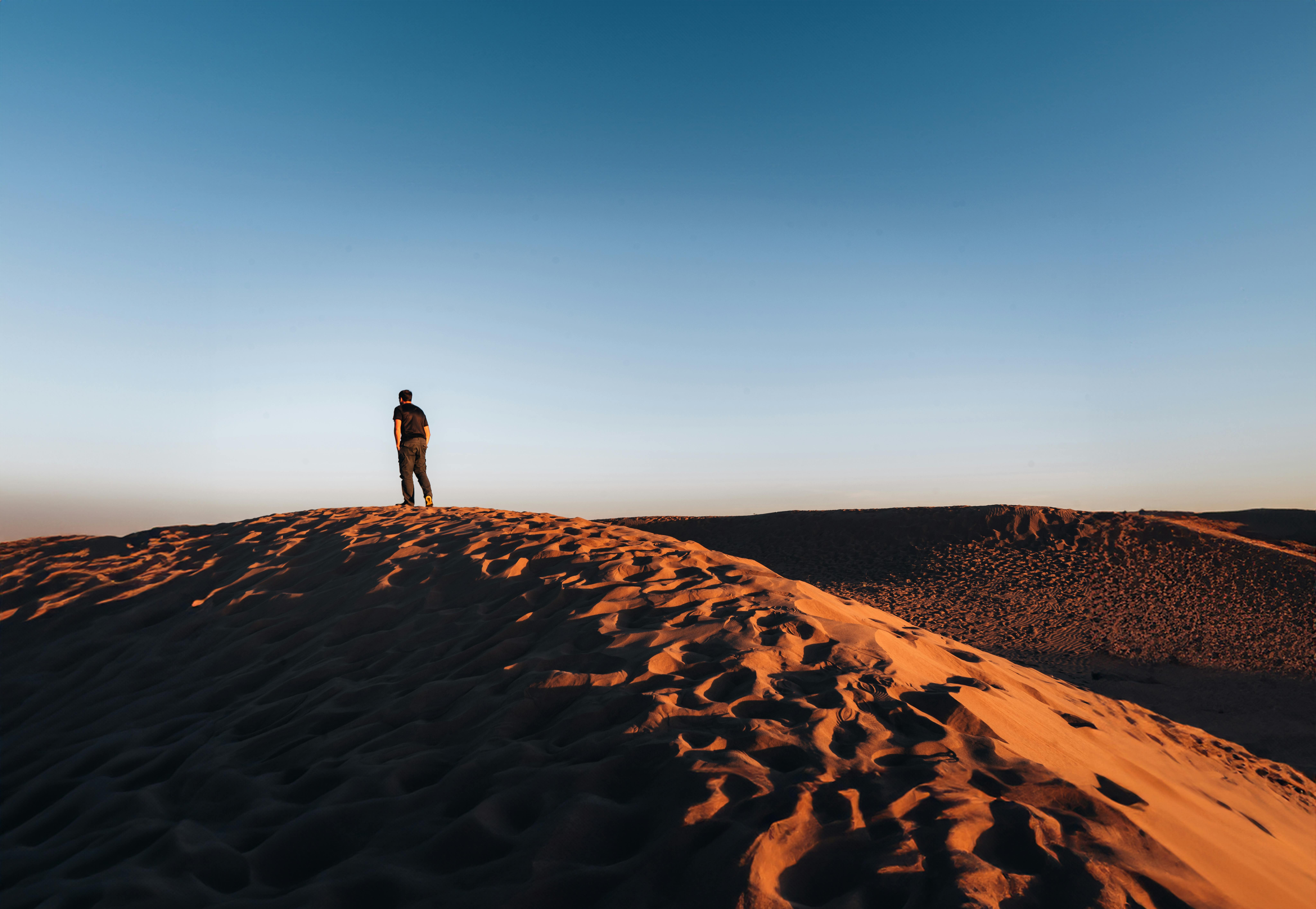 Sun AI Photos, Download The BEST Free Sun AI Stock Photos & HD Images