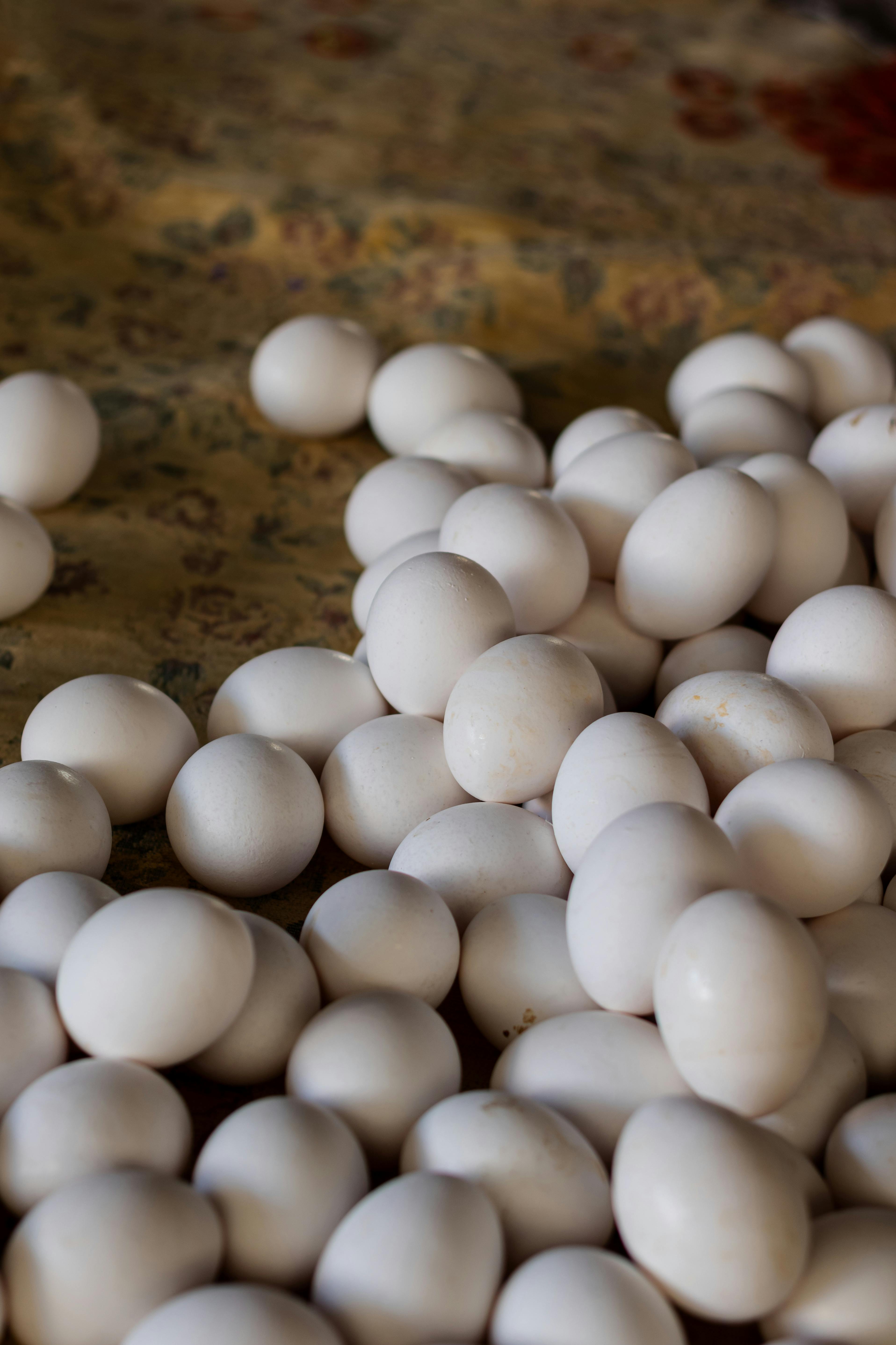 White Eggs on White Tray · Free Stock Photo