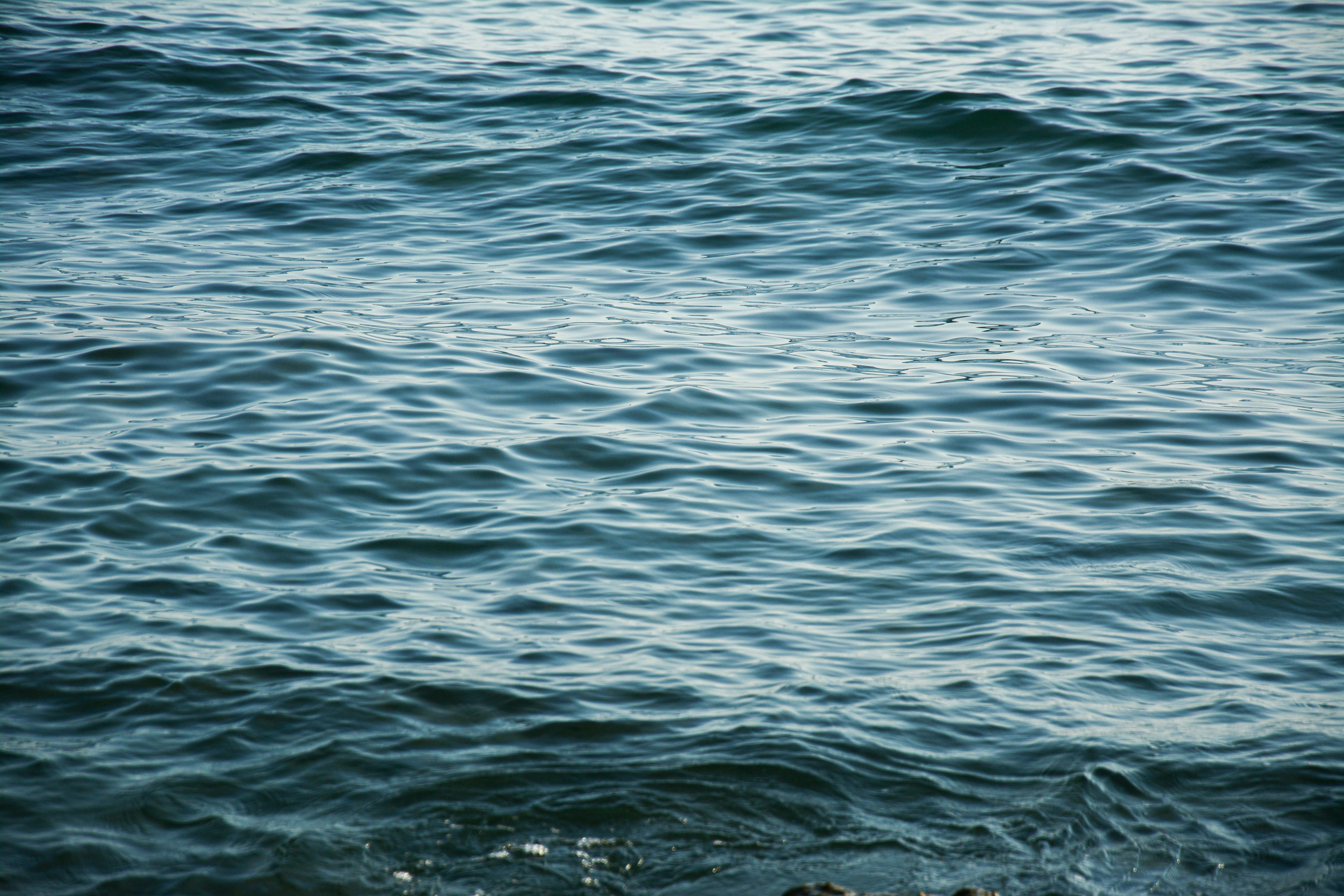 Close-Up Shot of a Water Surface · Free Stock Photo
