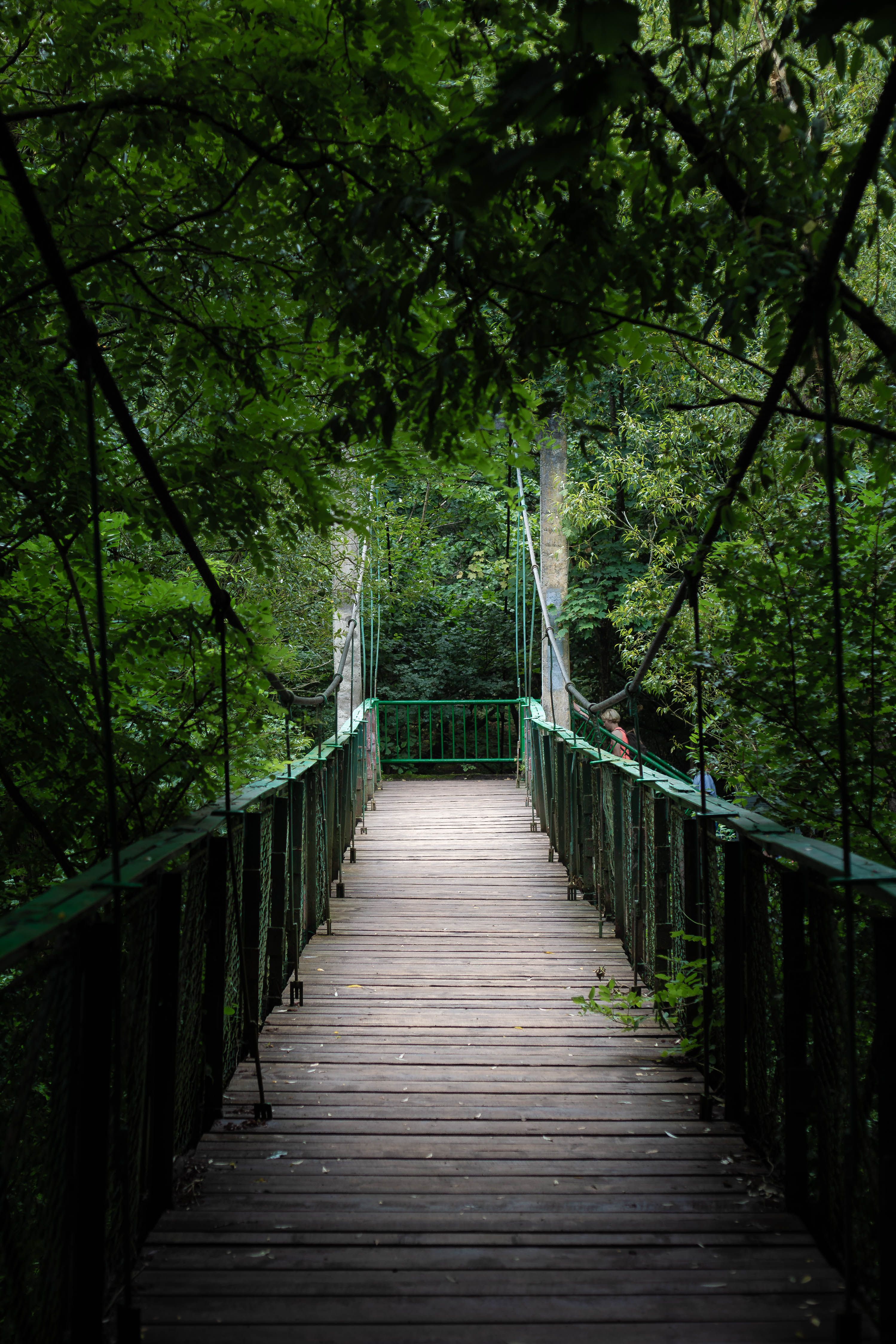 Wooden Bridge Around Forest The Cost Of Building A Pedestrian Bridge