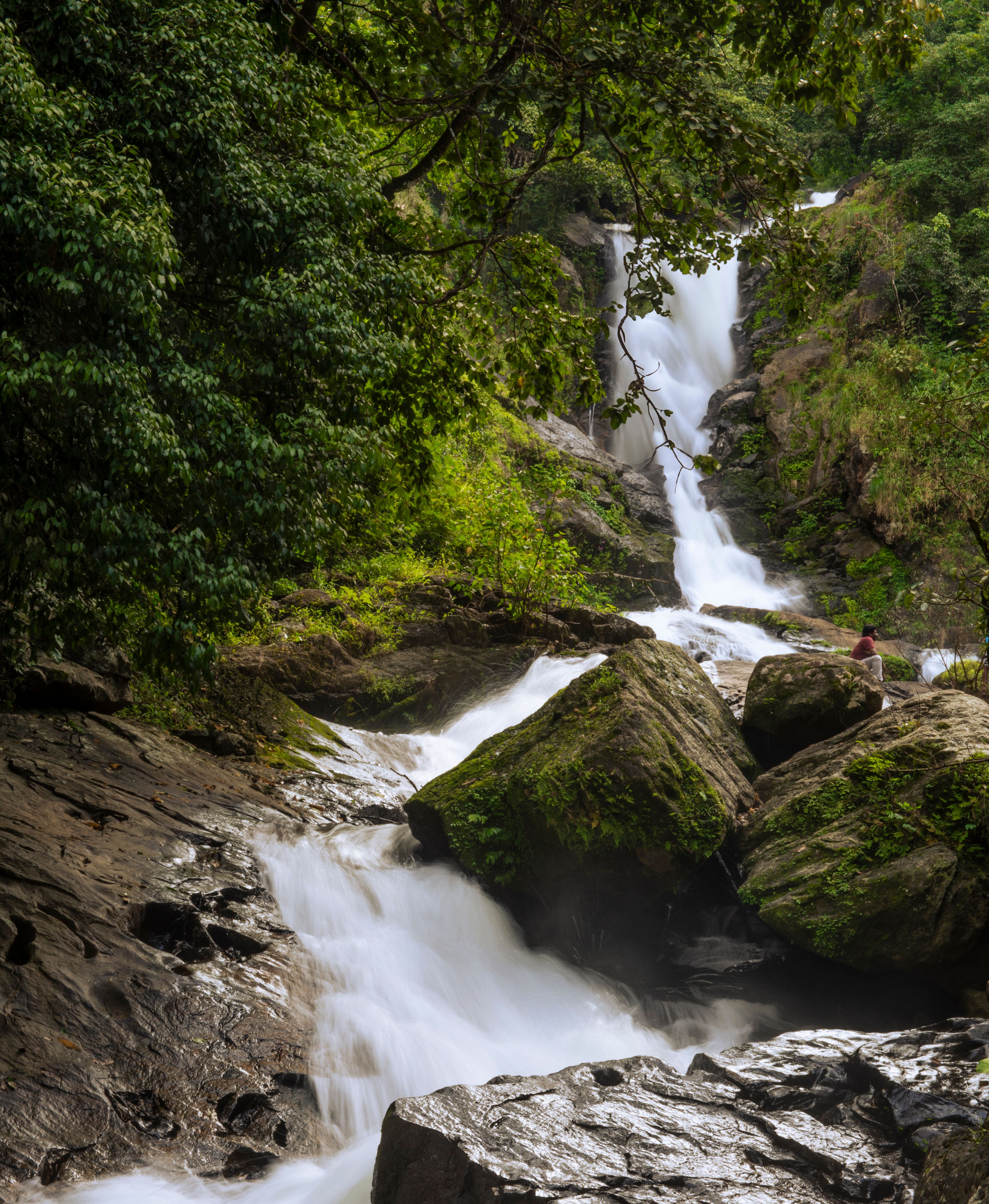 Wayanad Photos, Download The BEST Free Wayanad Stock Photos & HD Images