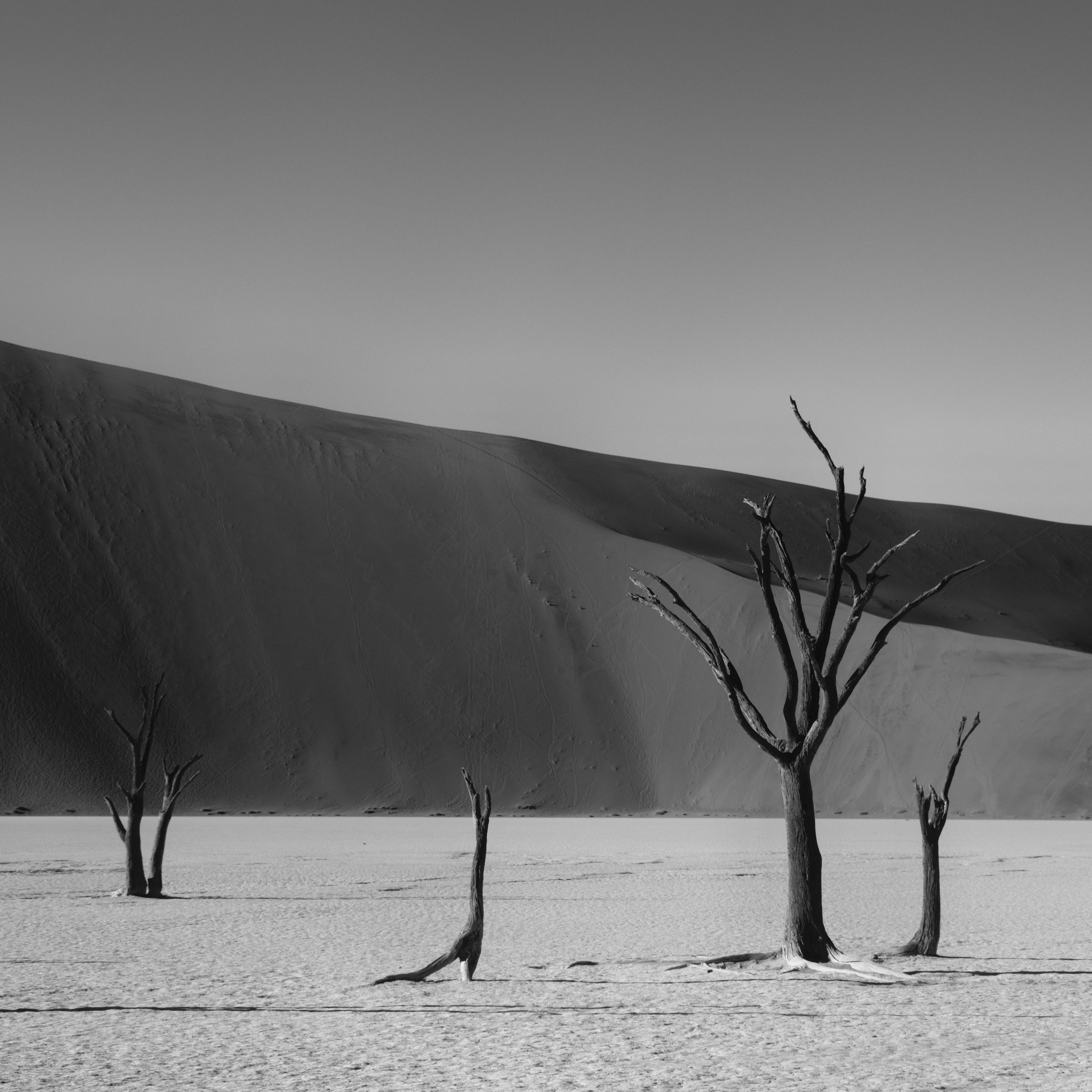 Namibia Plajlari Photos, Download The BEST Free Namibia Plajlari Stock ...