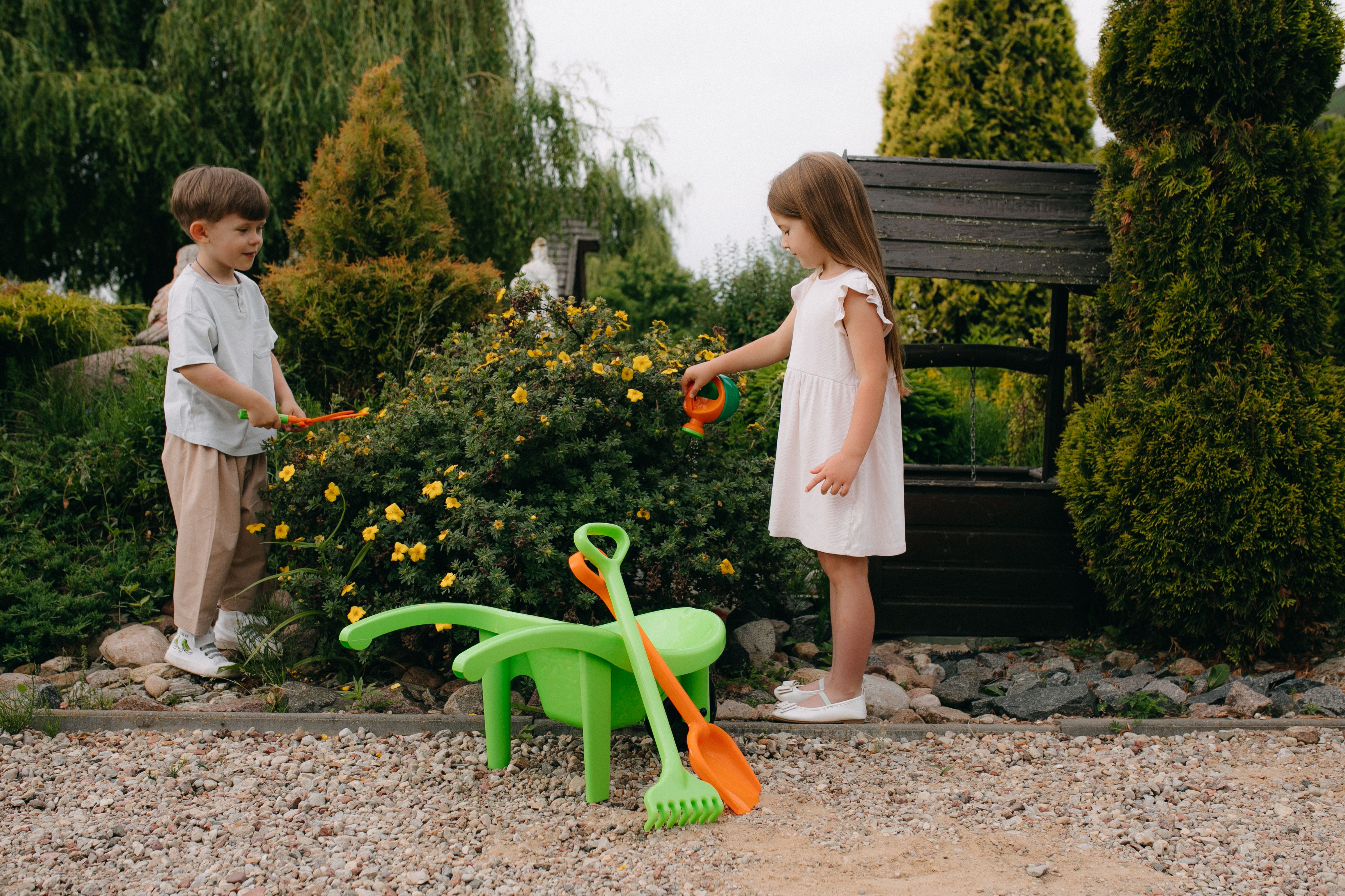 Learning And Growing Together Educational Platform Photos, Download The ...