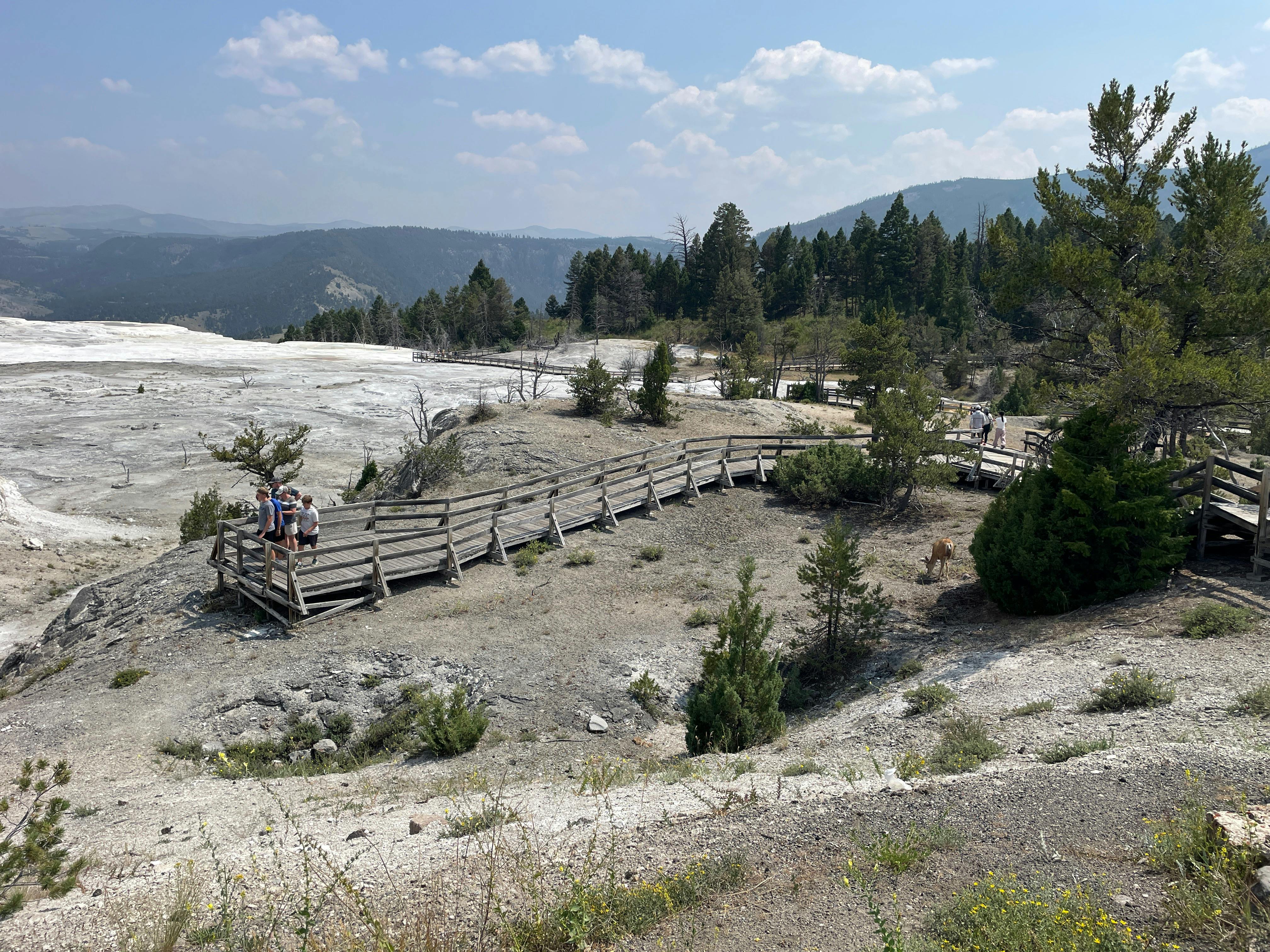 Adrian - Photography