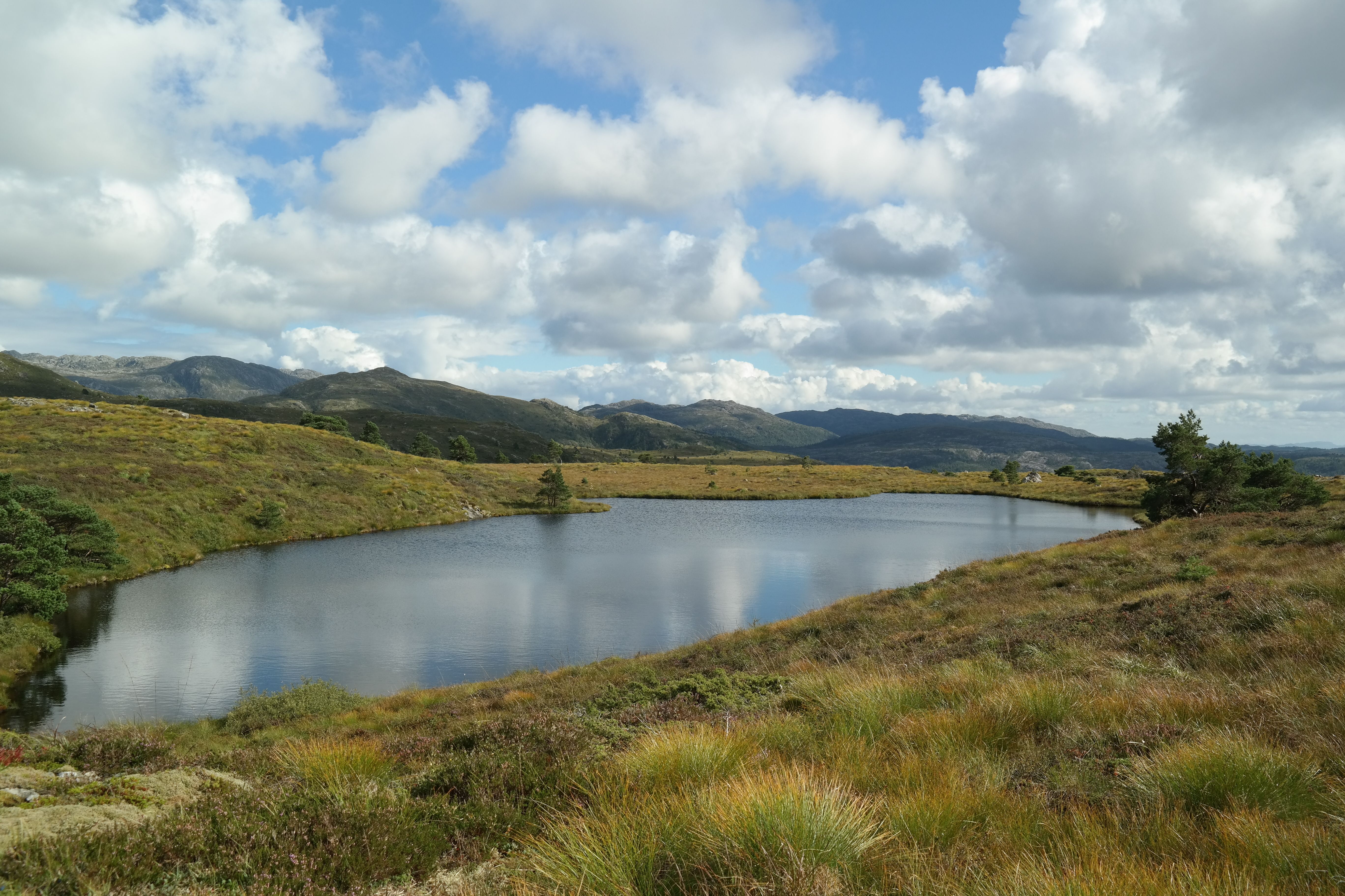 Rural Land Scape Photos, Download The BEST Free Rural Land Scape Stock ...