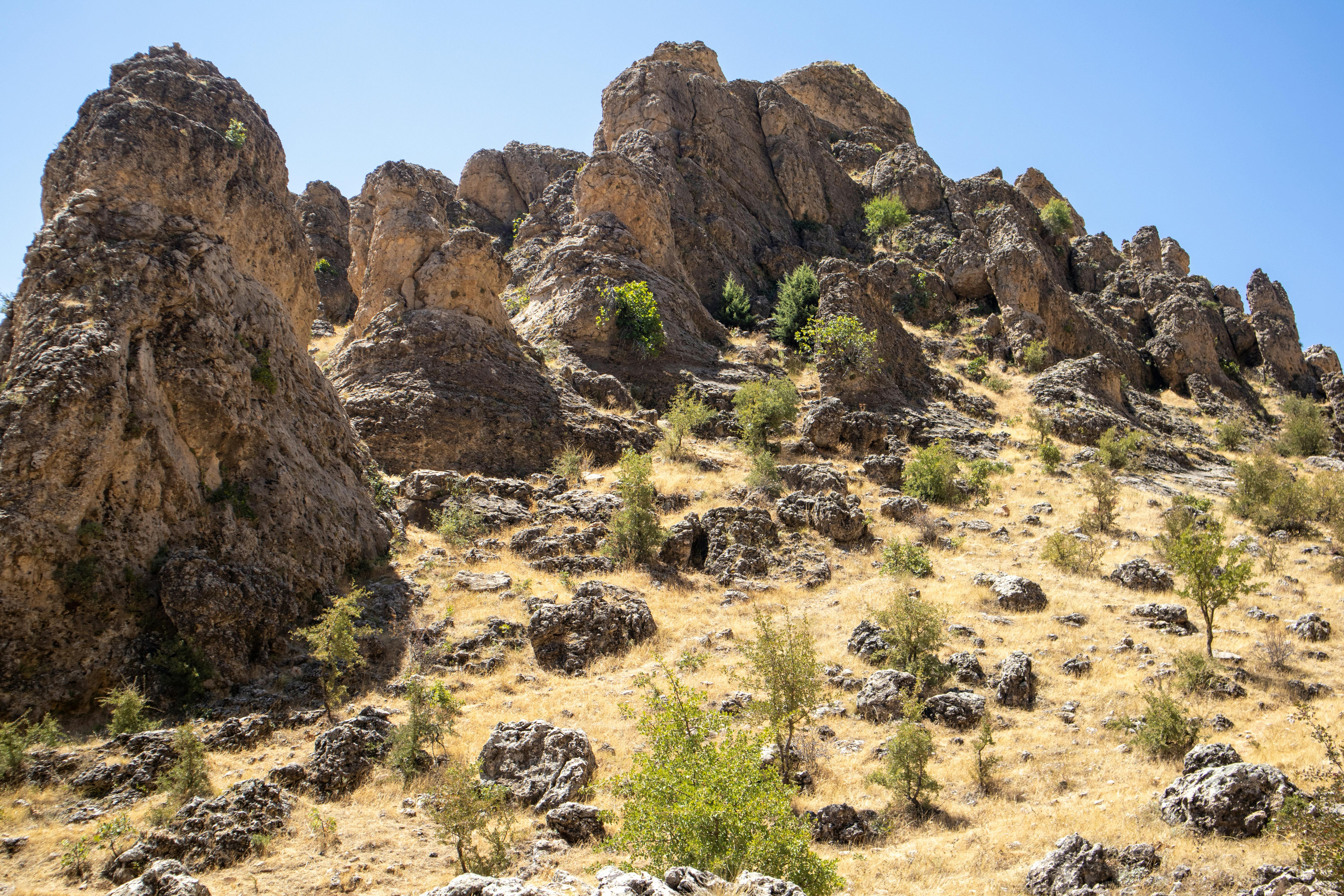 Rock Formation Surrounded by Trees · Free Stock Photo