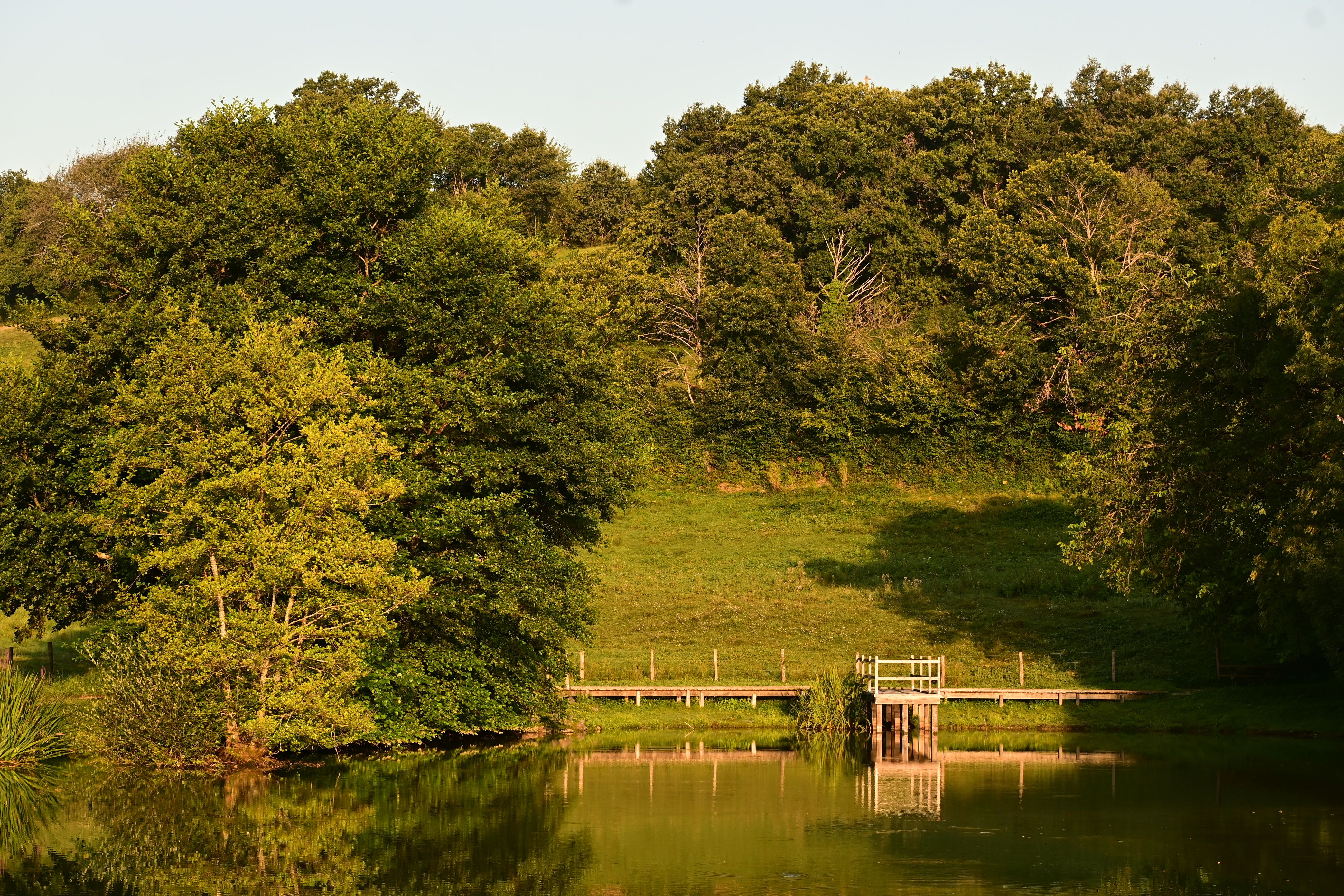 A pond with a bridge over it and trees · Free Stock Photo