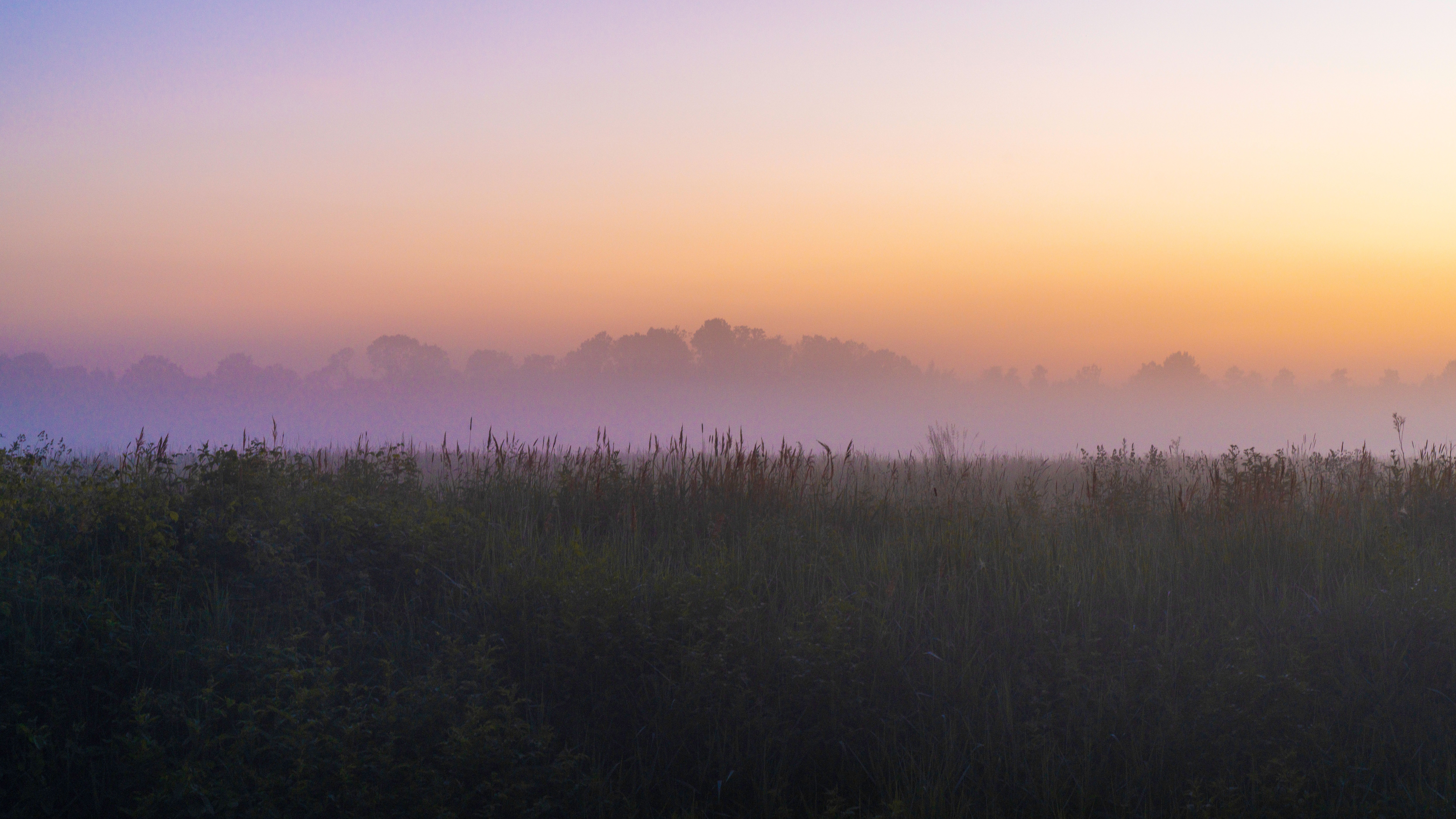 Natures gradients 2 · Free Stock Photo