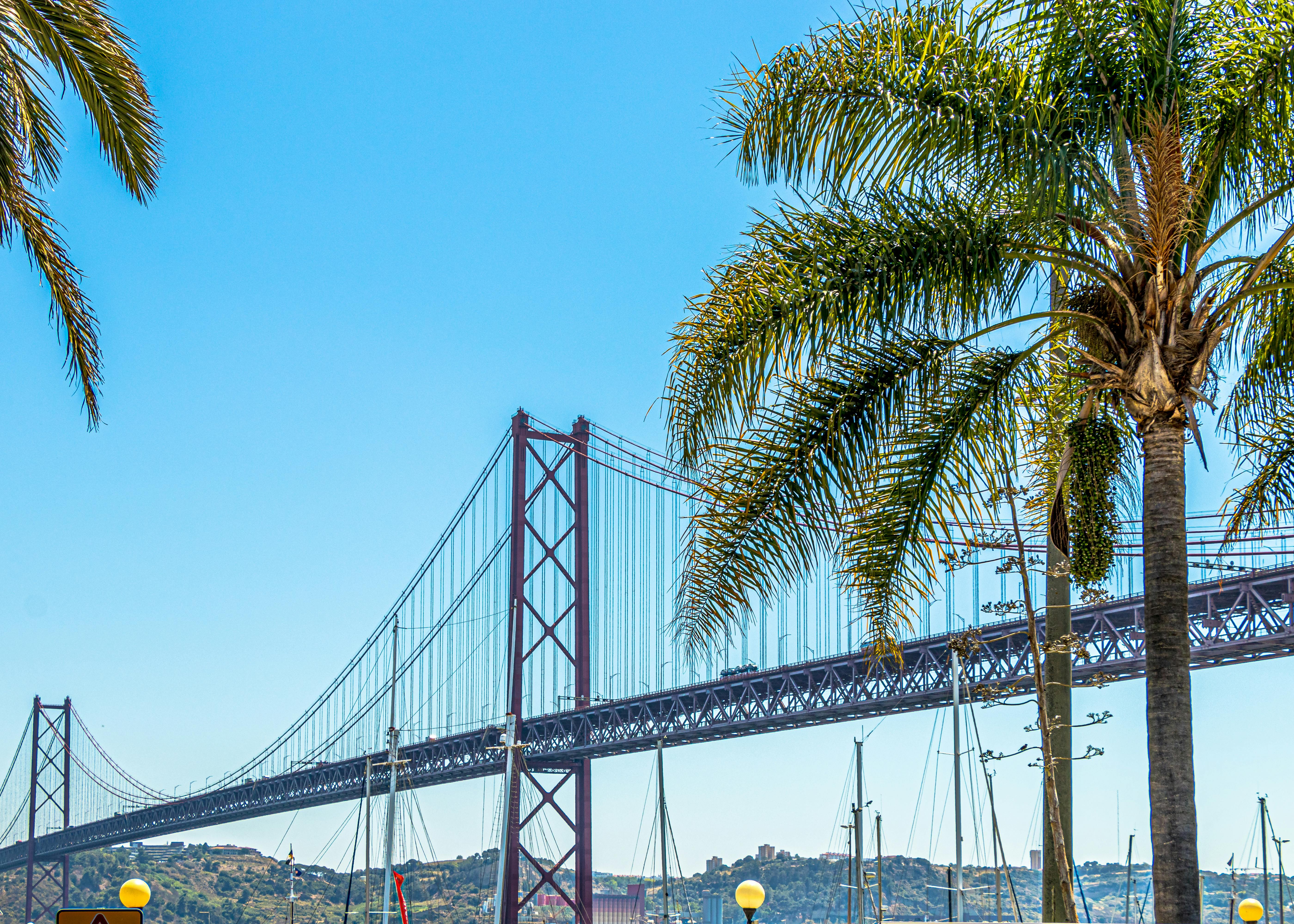 Free stock photo of beautiful view, bridge, city