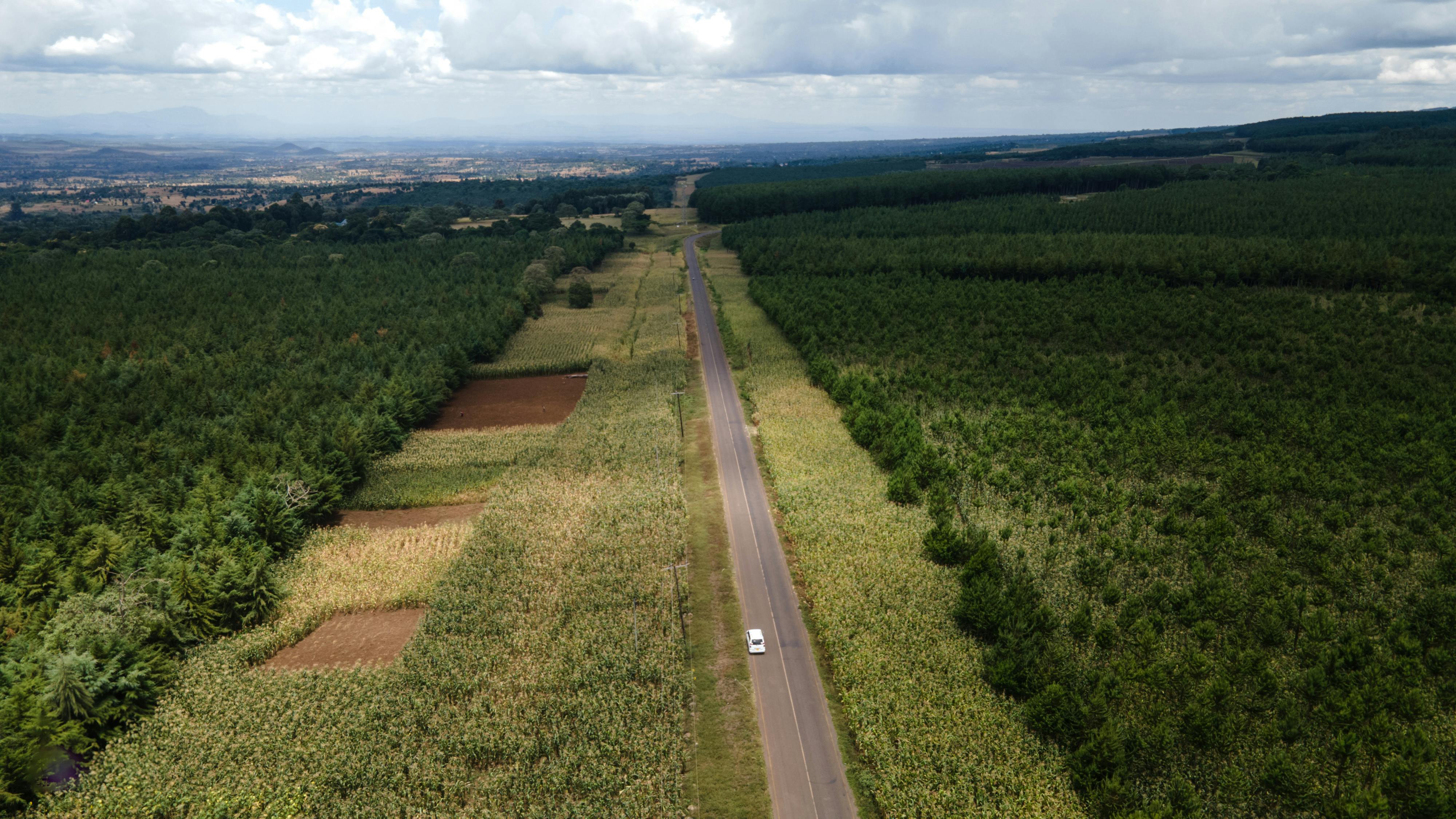Tanzania Kenyan Border · Free Stock Photo