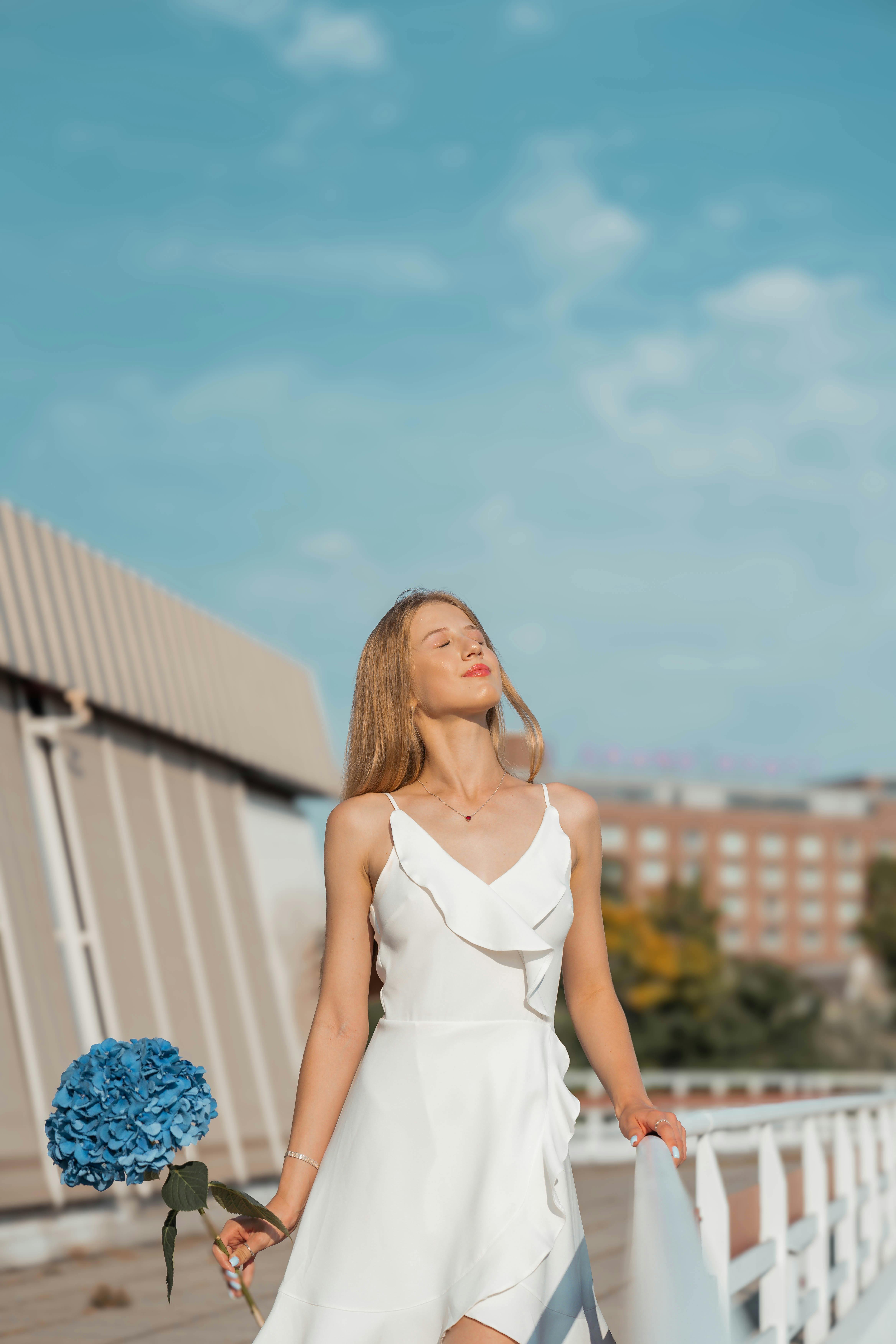 Vivid Environment Photos, Download The BEST Free Vivid Environment ...