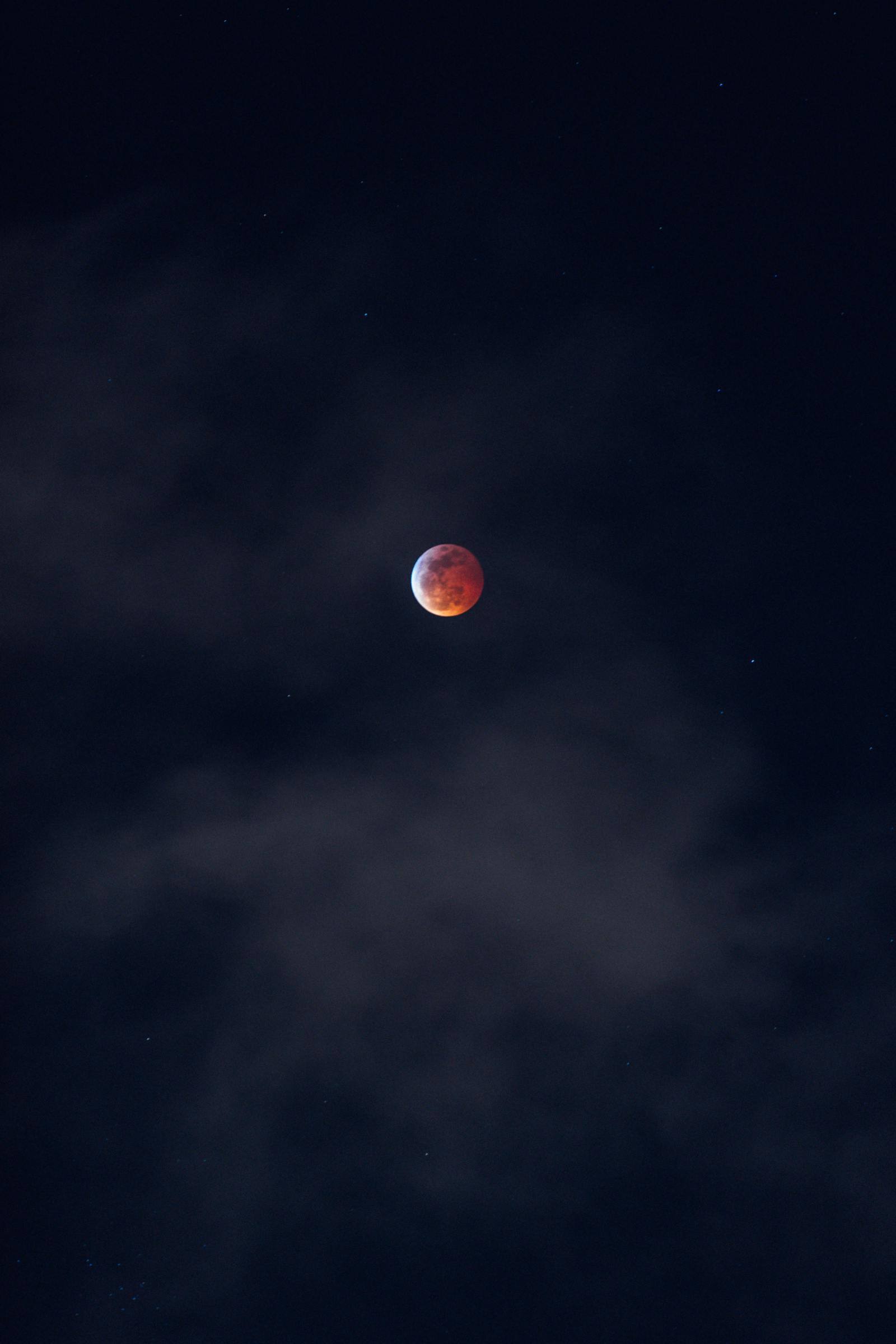 Red Moon Photos, Download The BEST Free Red Moon Stock Photos & HD Images