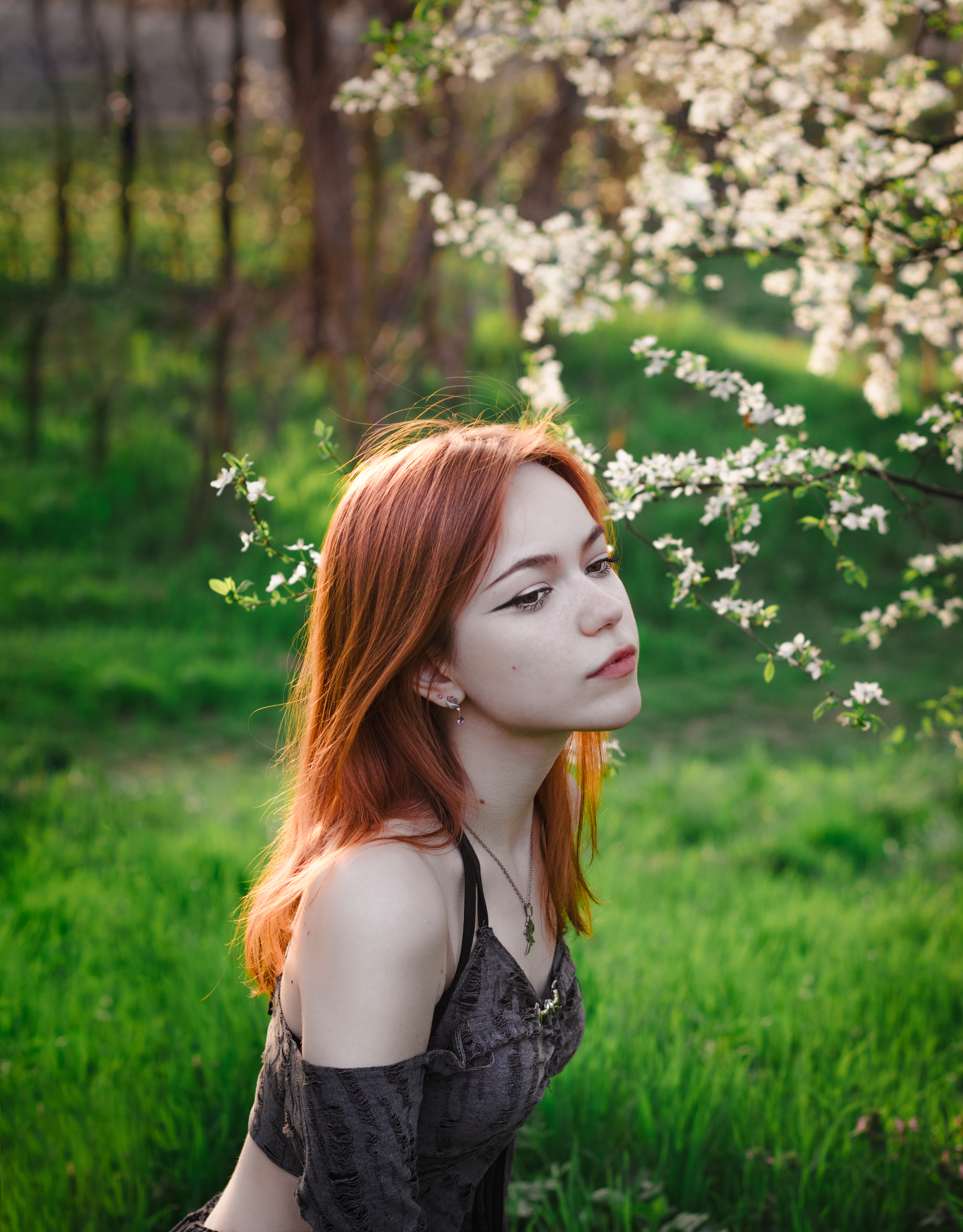 portrait in nature · Free Stock Photo