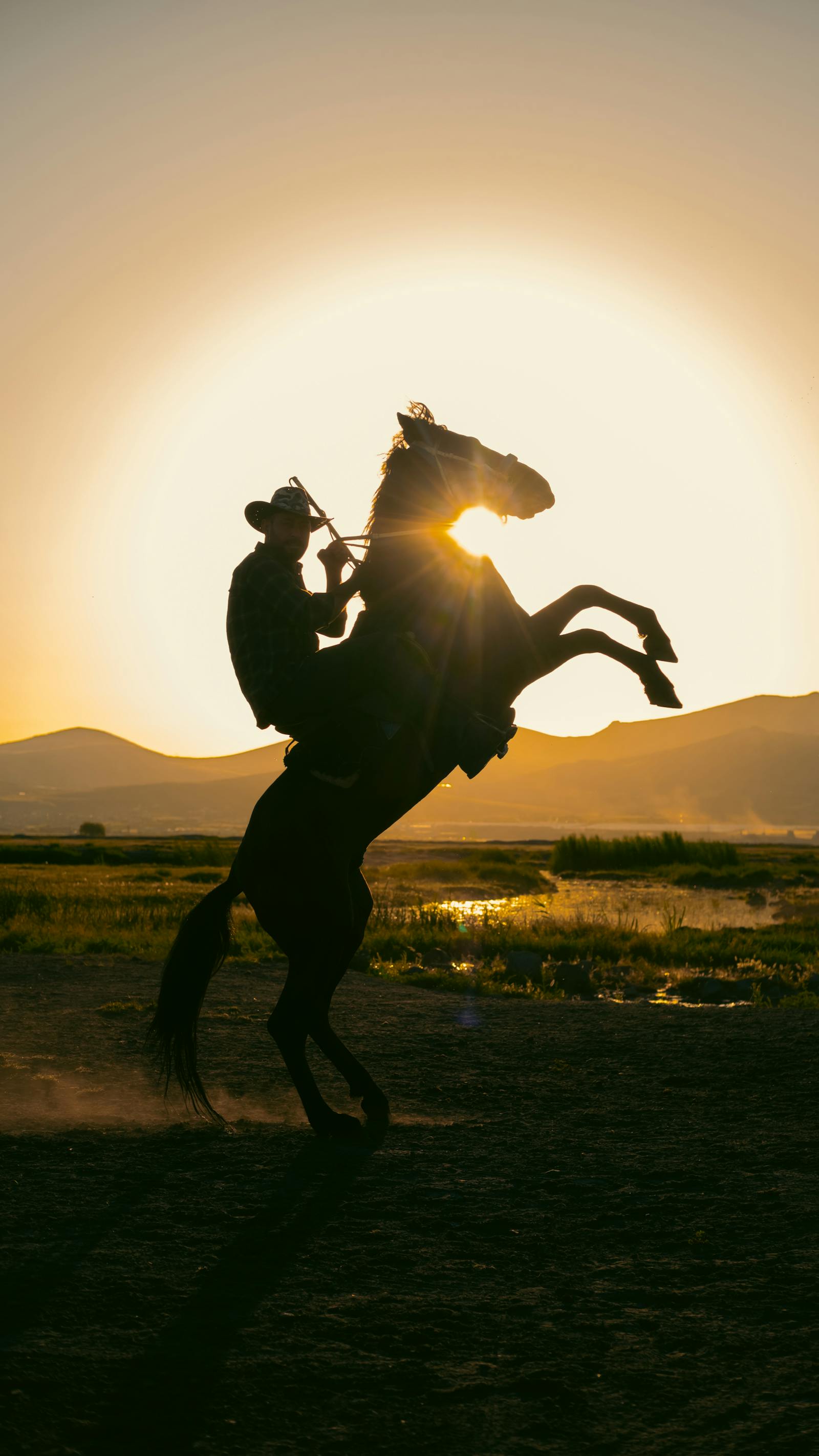 Horse Rider Photos, Download The BEST Free Horse Rider Stock Photos ...
