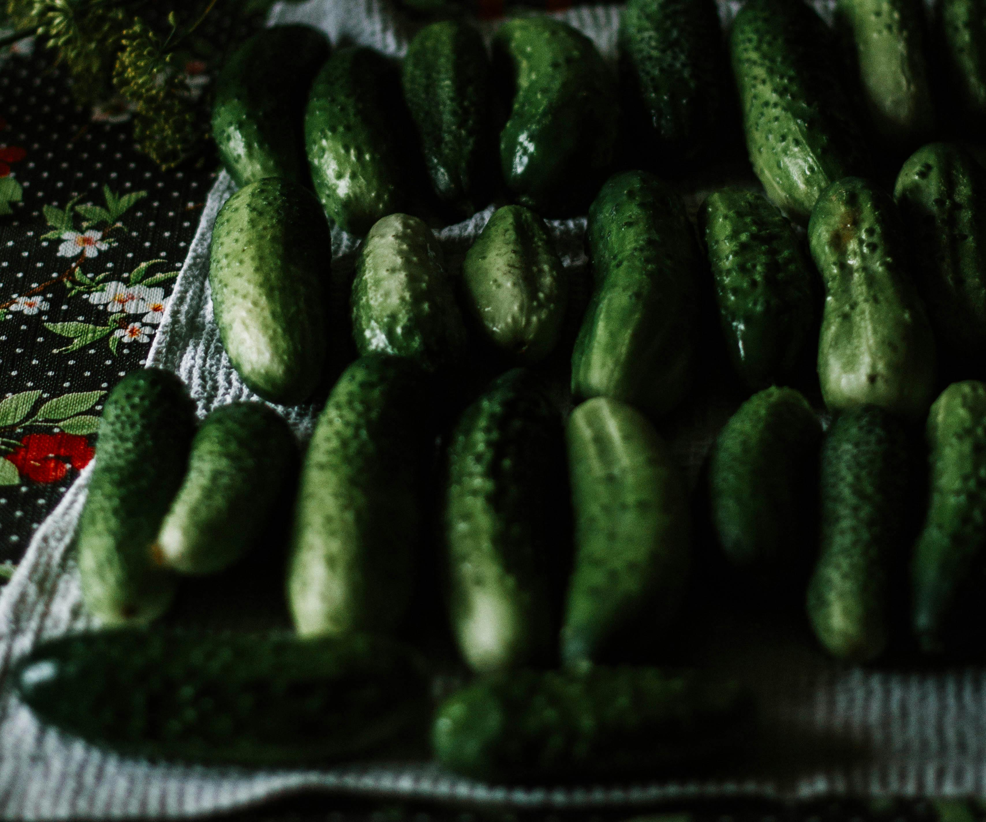 Close-Up Photo of Cucumbers · Free Stock Photo