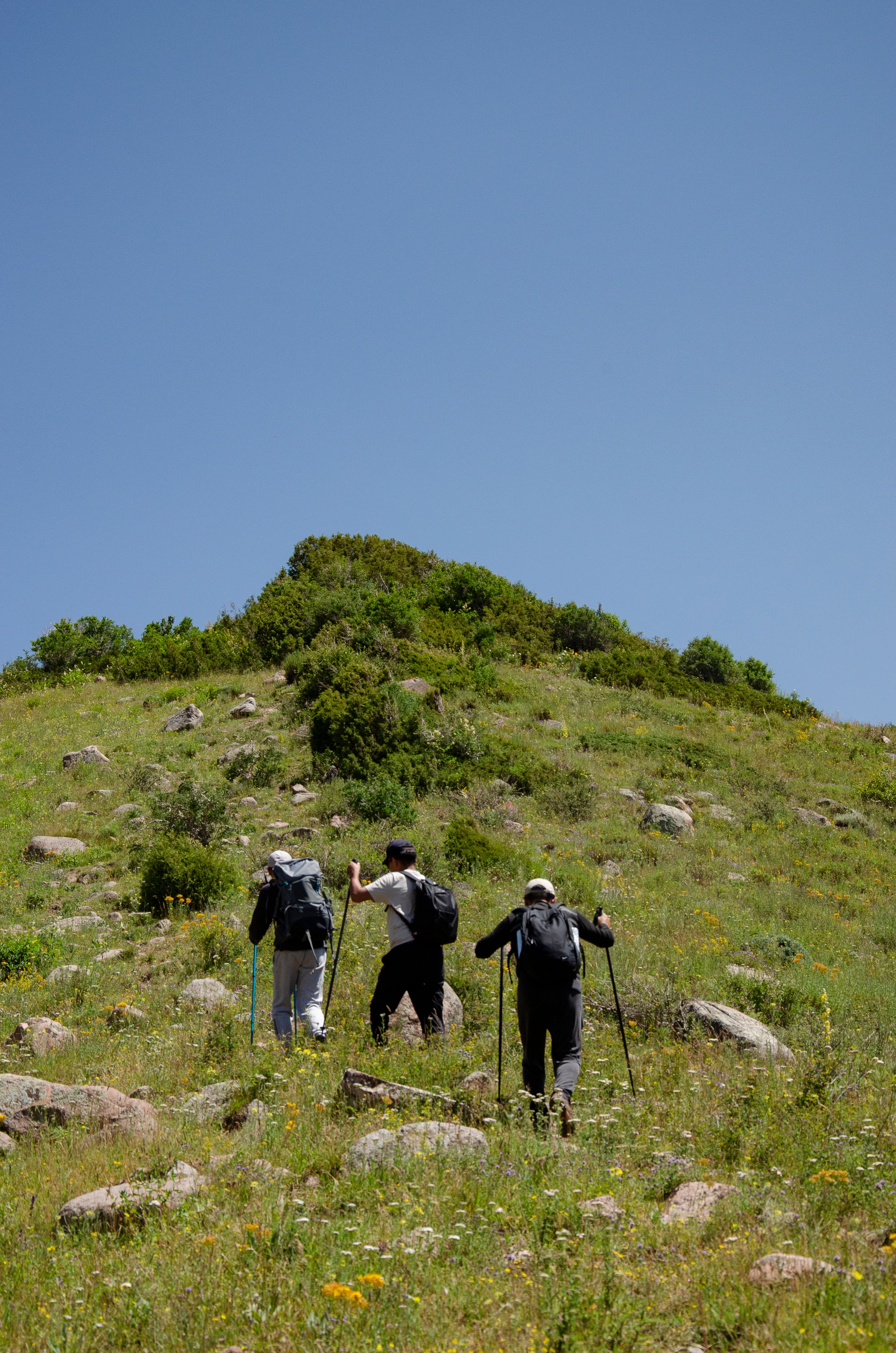A group of people hiking up a hill · Free Stock Photo
