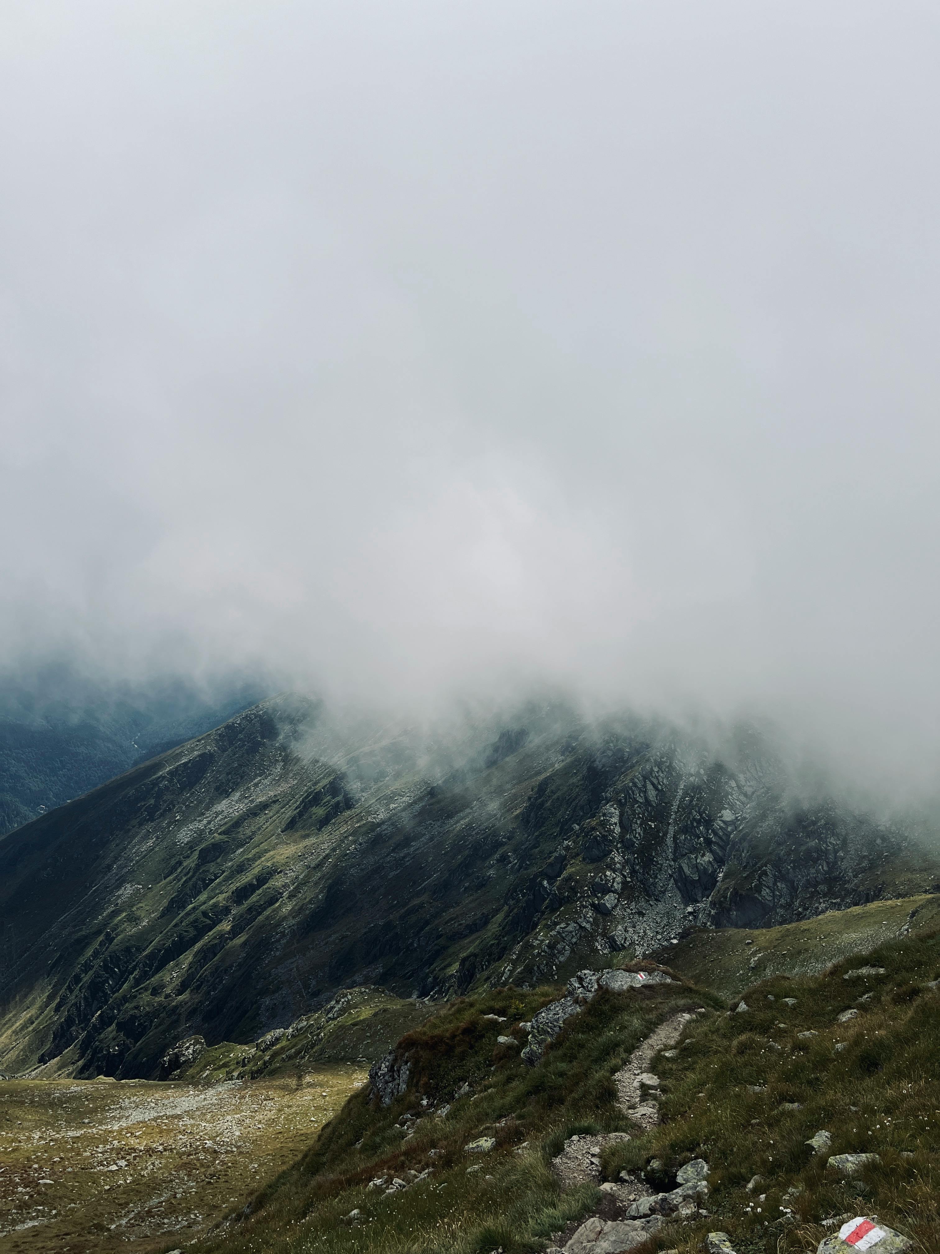 Zelch Csaba - 摄影