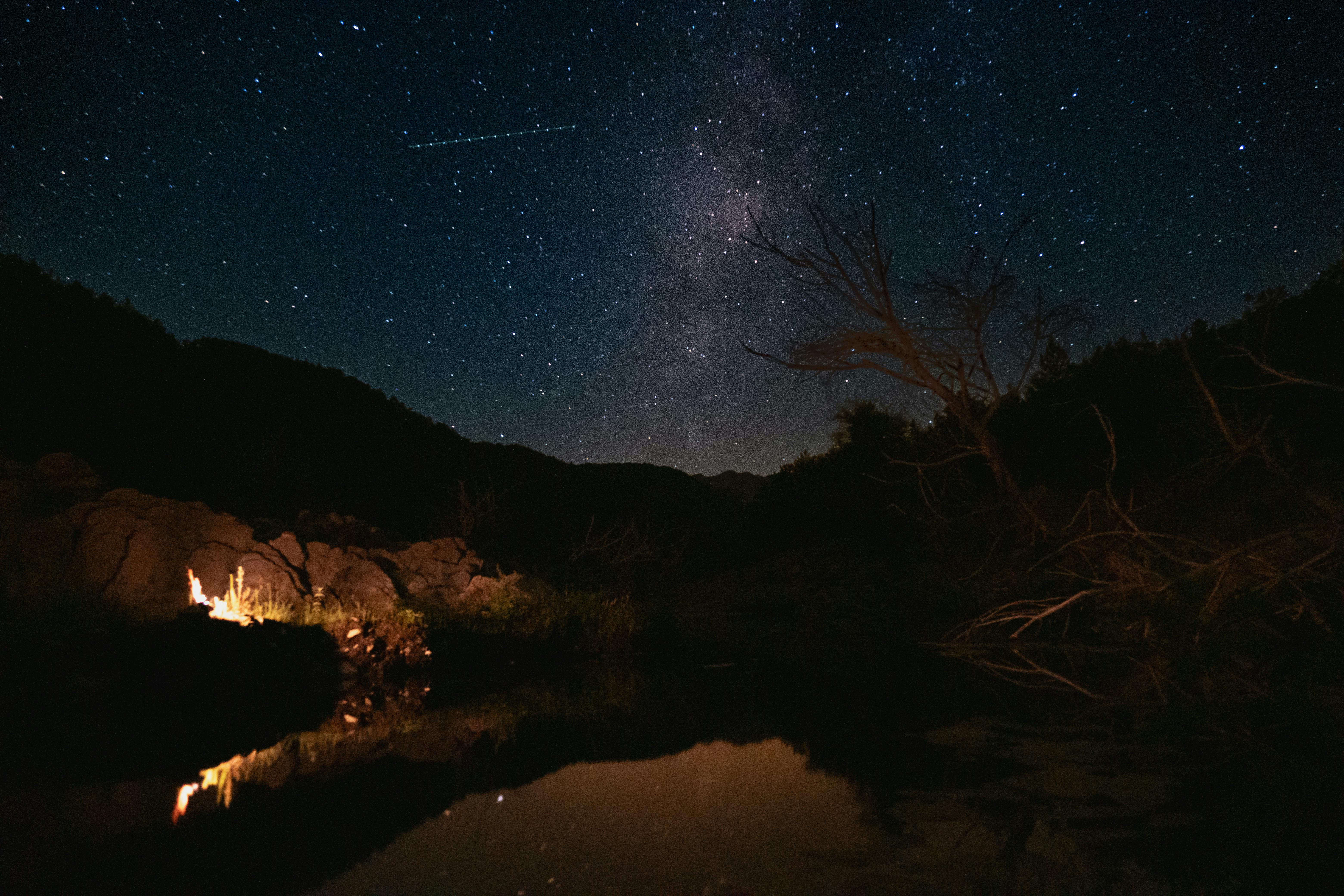 Perseid · Free Stock Photo