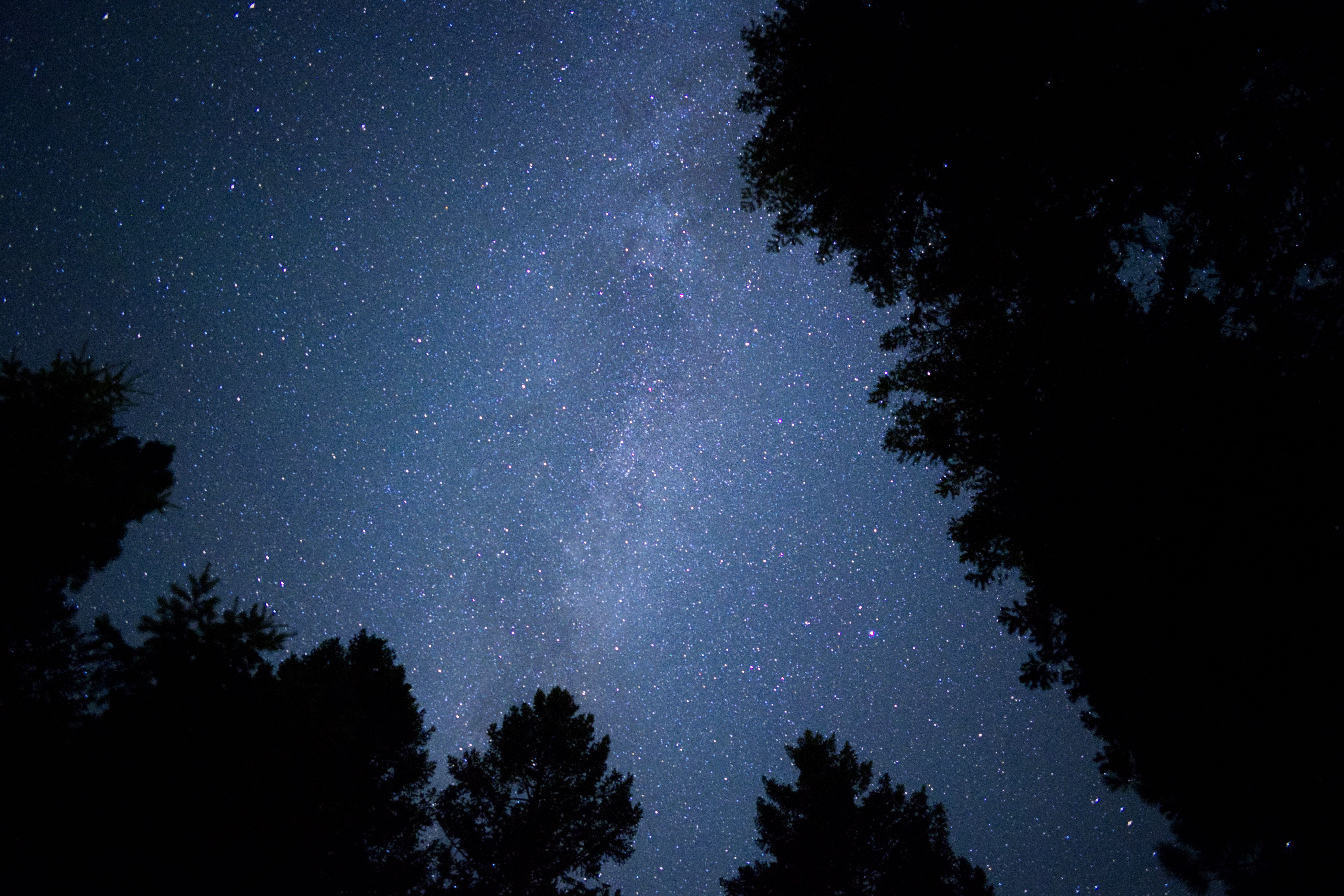 Scenic View Of Night Sky With Stars · Free Stock Photo