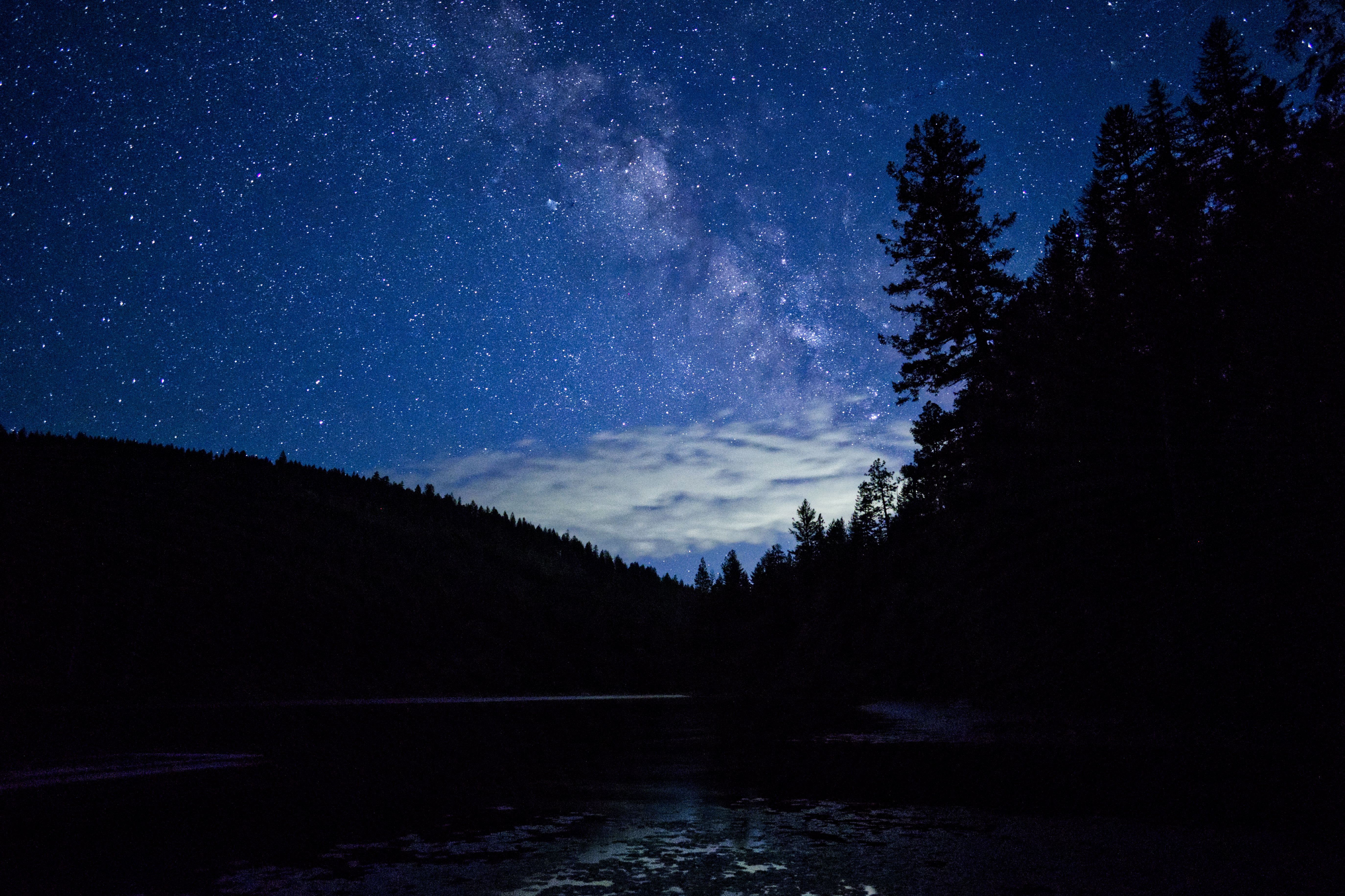 Scenic View Of Night Sky · Free Stock Photo