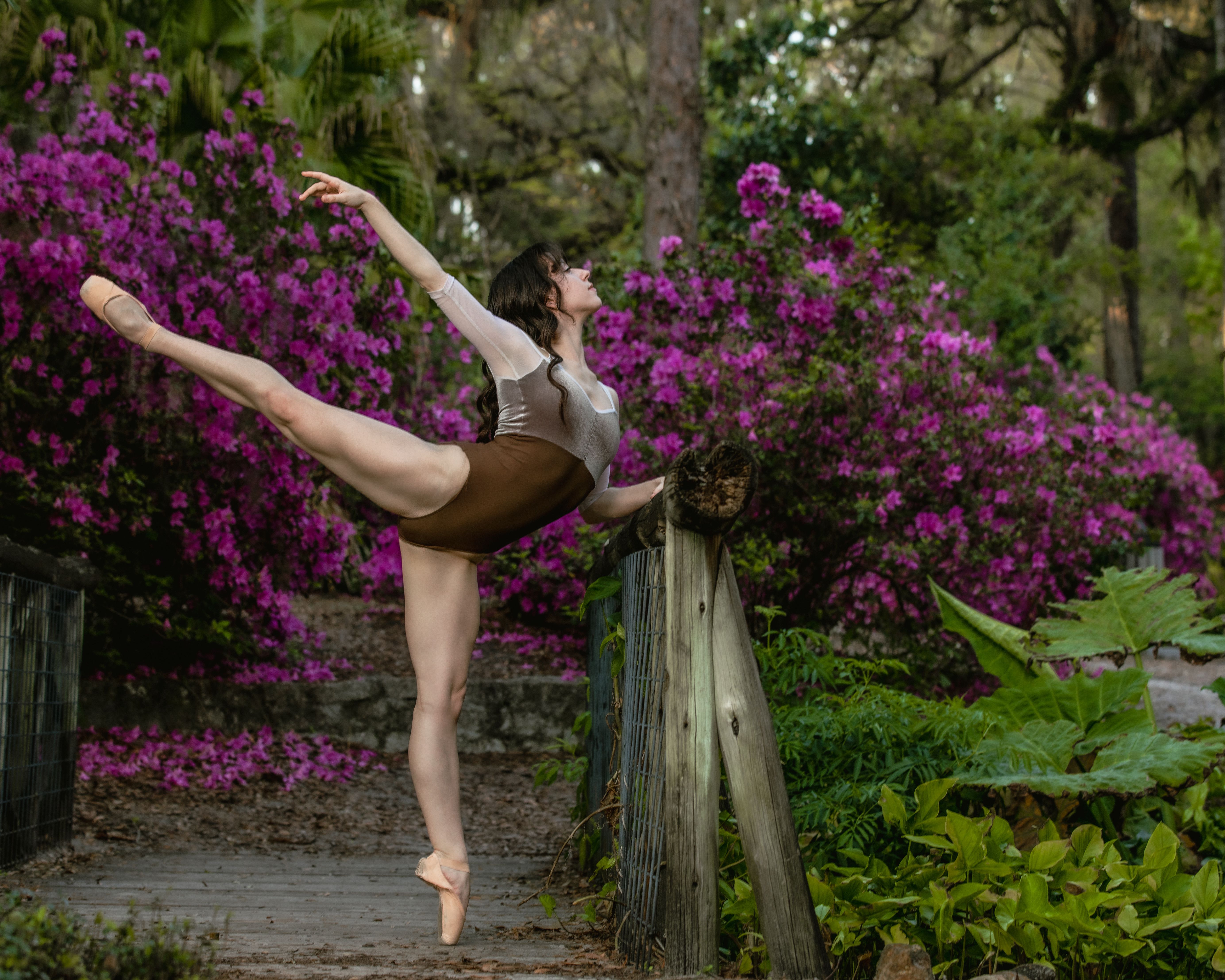 A ballet dancer is doing a pose in front of flowers · Free Stock Photo