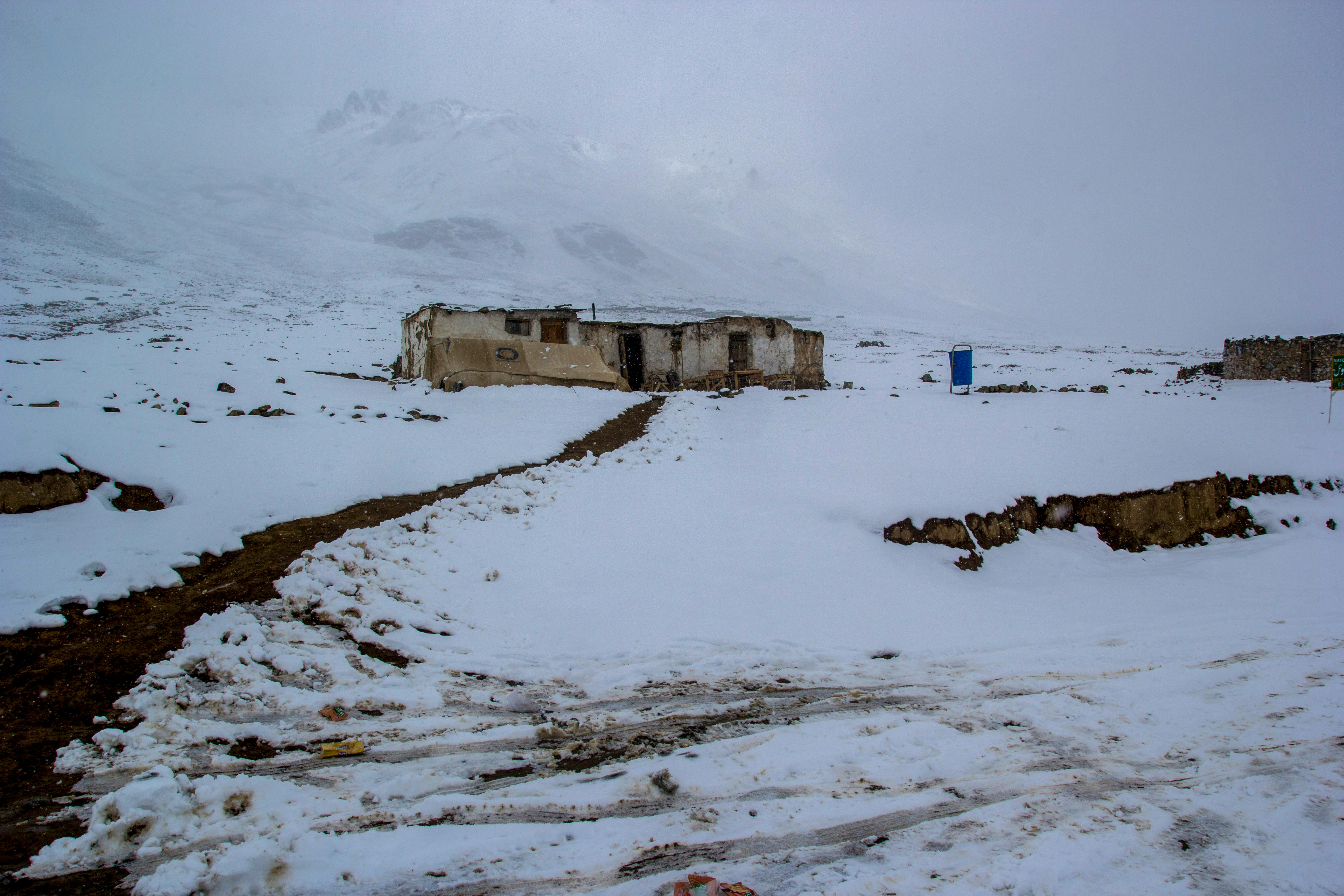 Shandoor Park Photos, Download The BEST Free Shandoor Park Stock Photos ...