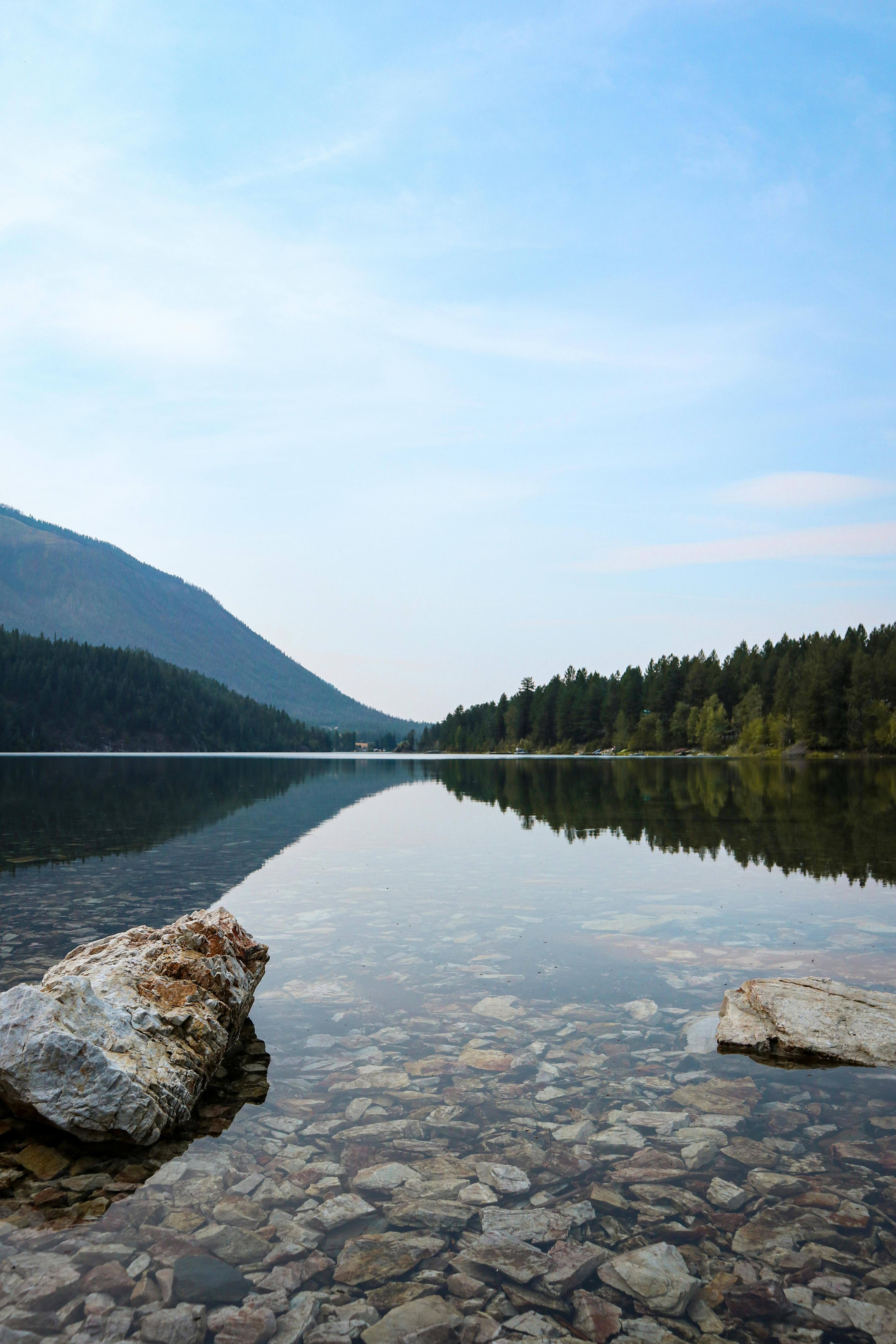 Lake Life · Free Stock Photo