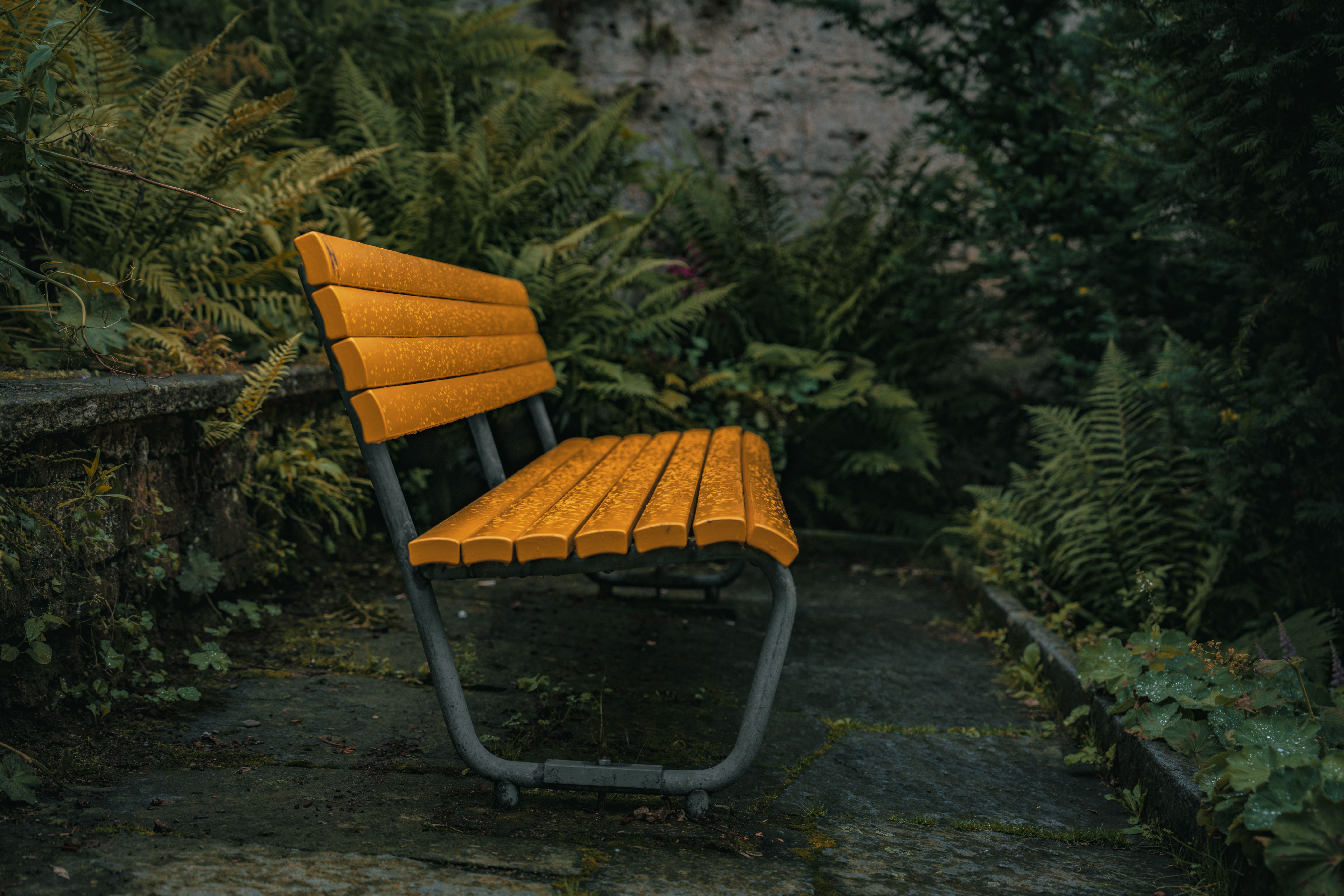 A bench in the middle of a garden · Free Stock Photo