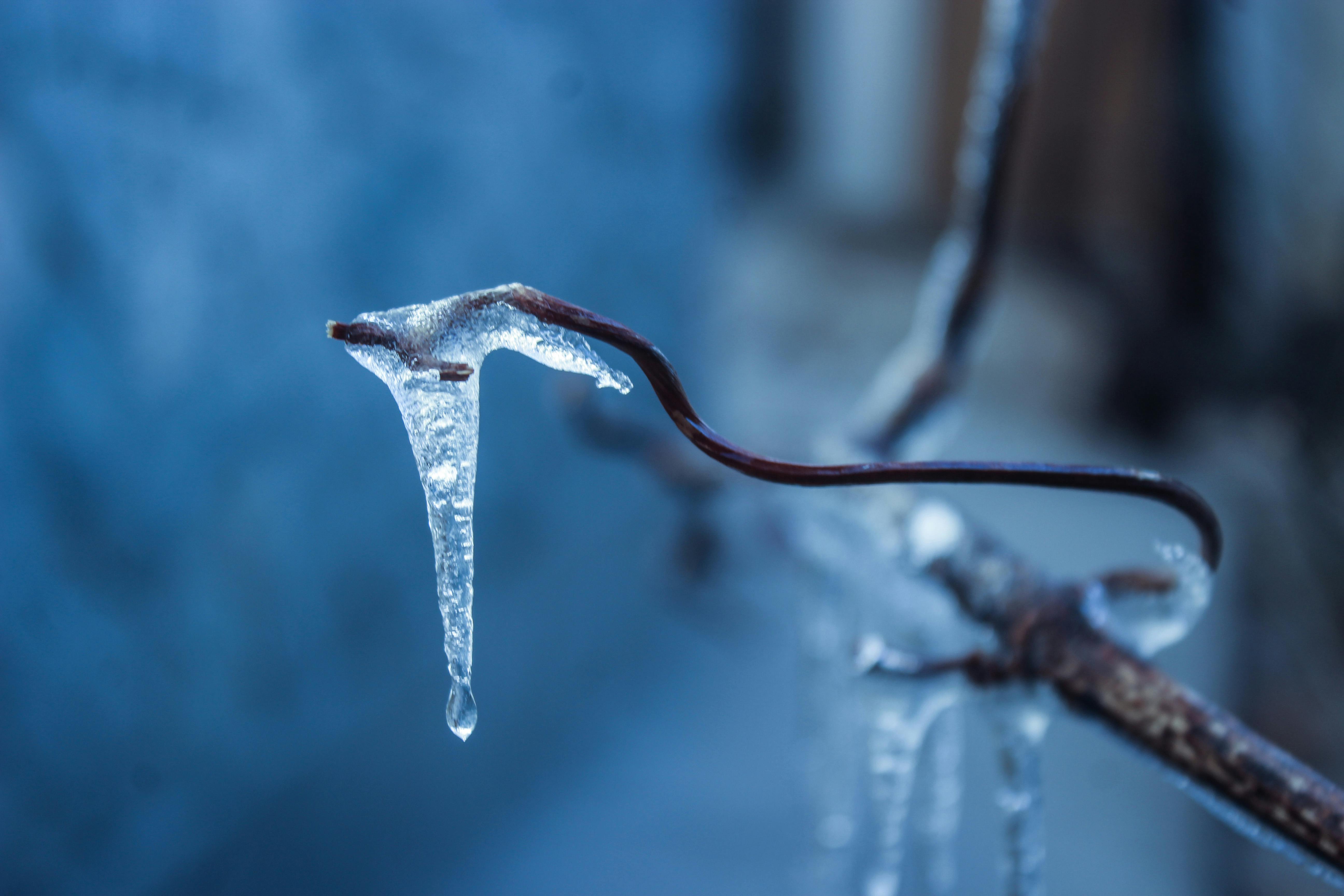 Free stock photo of ice, icicles, winter