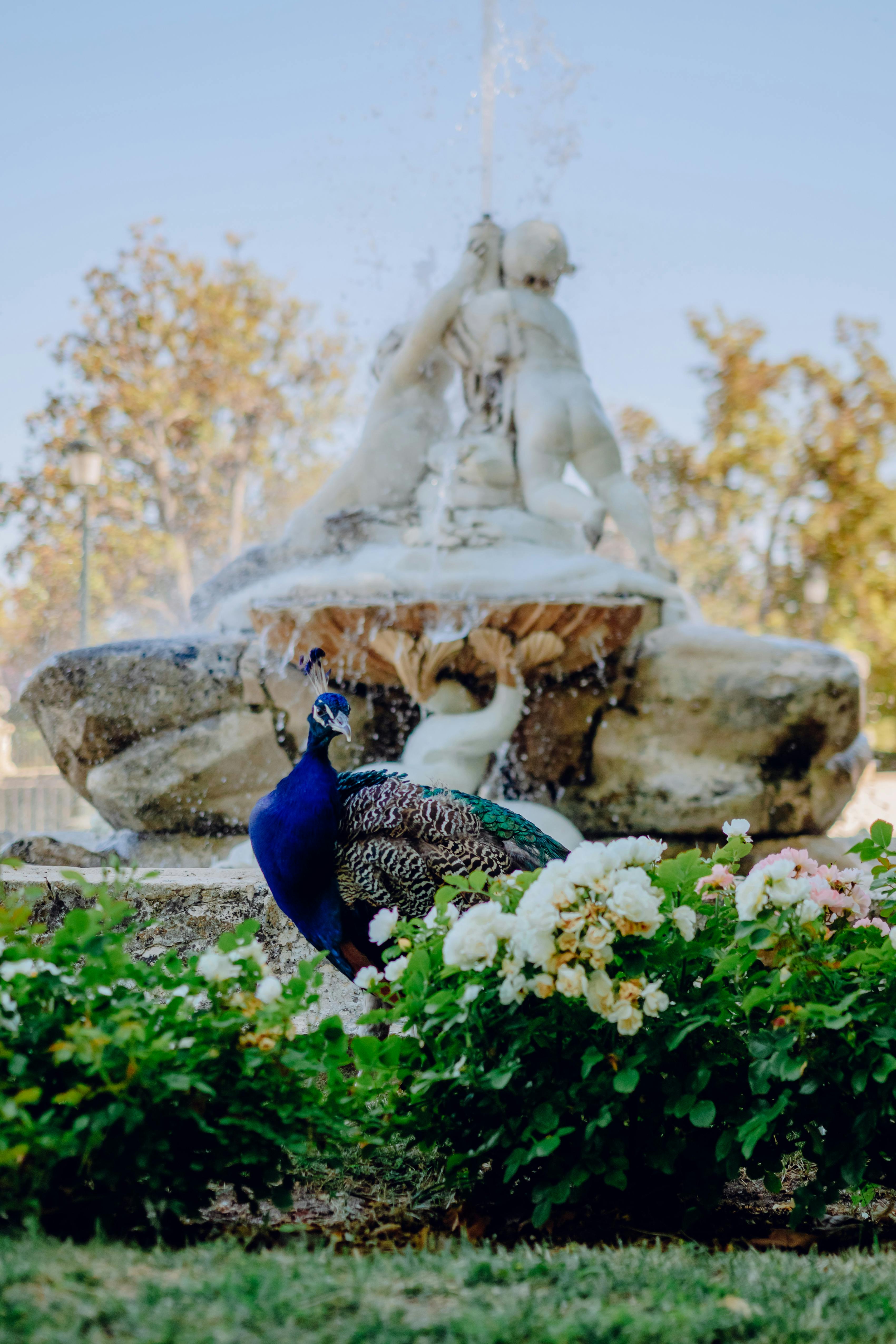 Foto de stock gratuita sobre @al aire libre, afuera, al aire libre ...