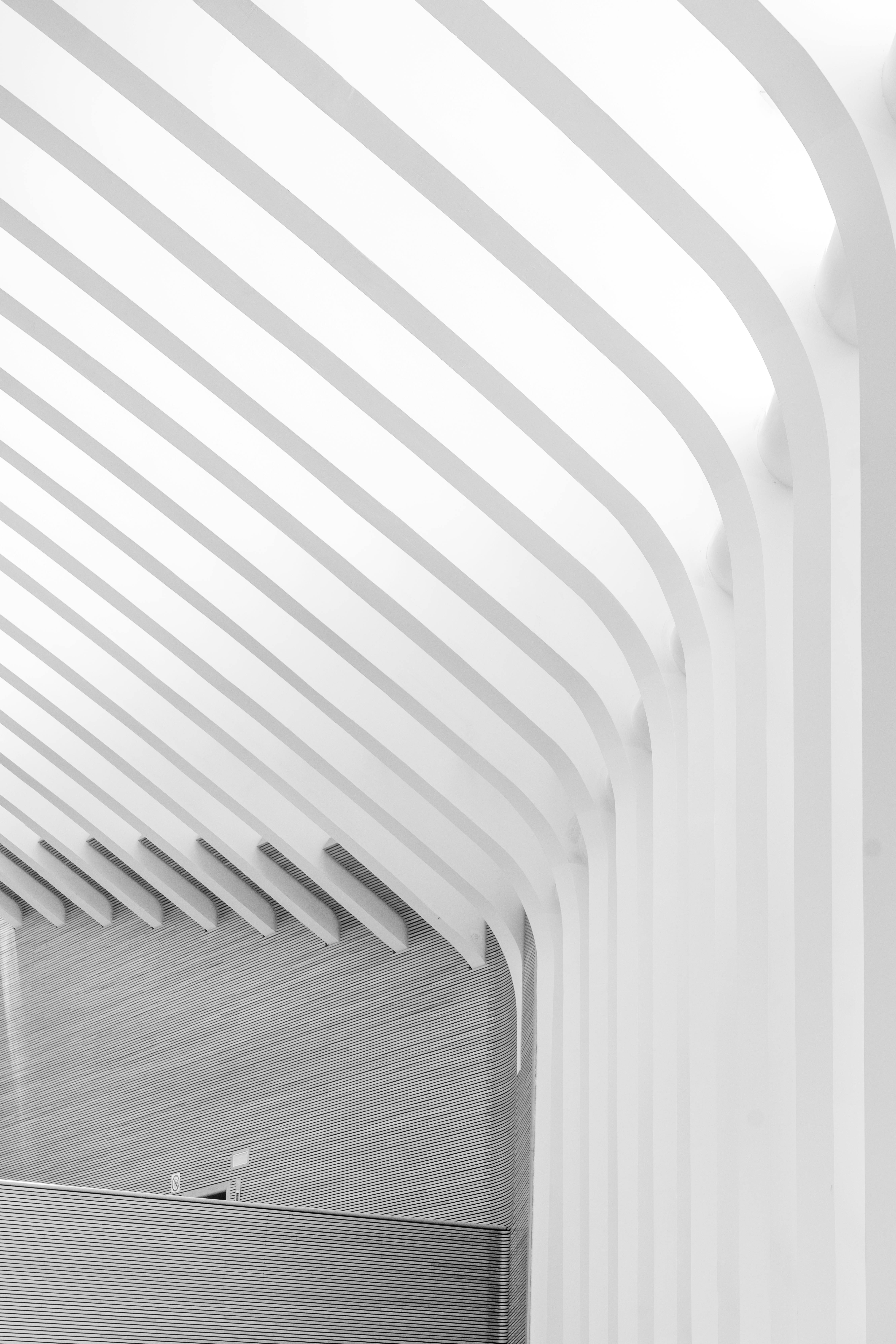 A black and white photo of a building with white lines · Free Stock Photo