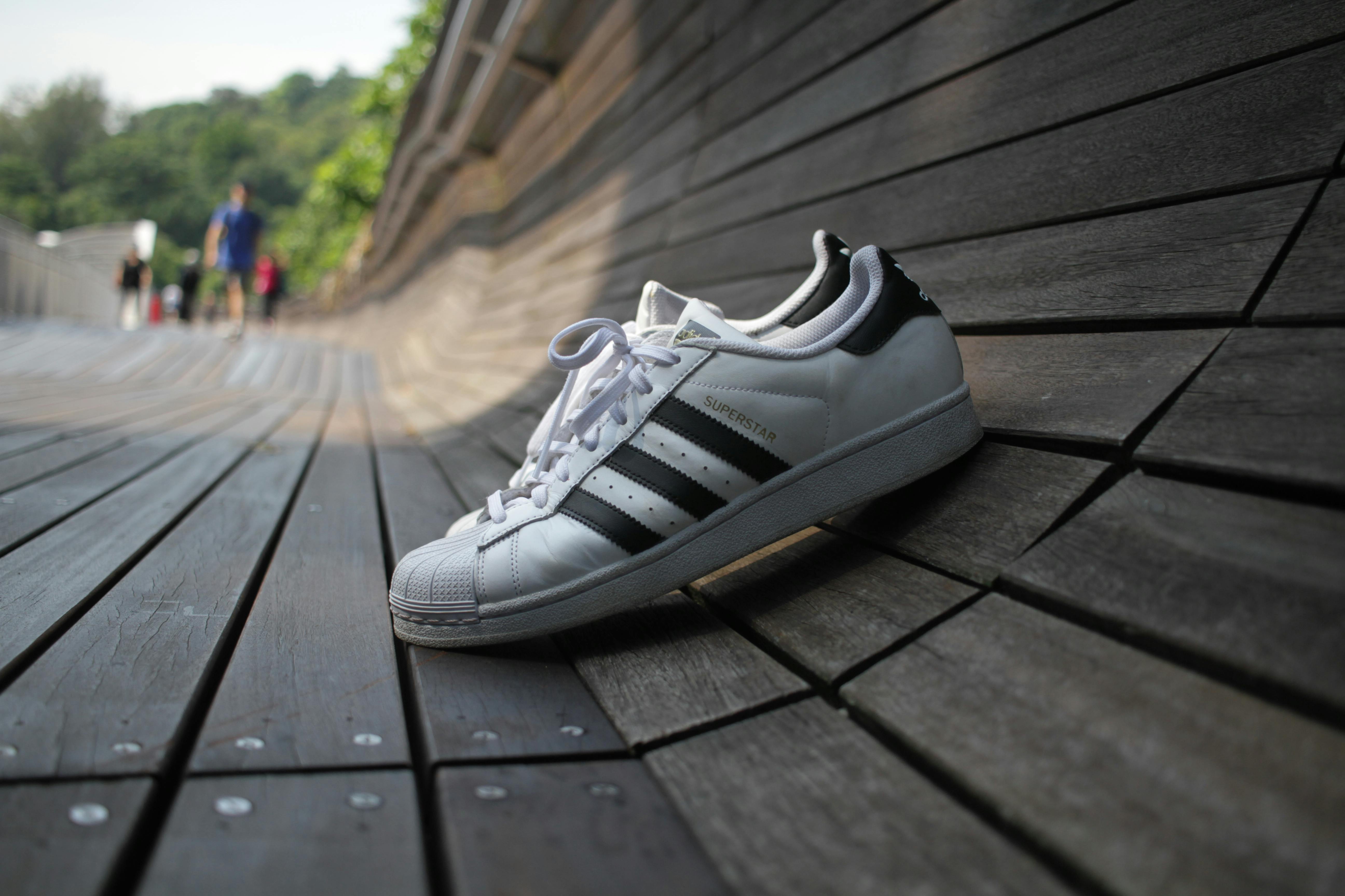 Free stock photo of adidas, shoe