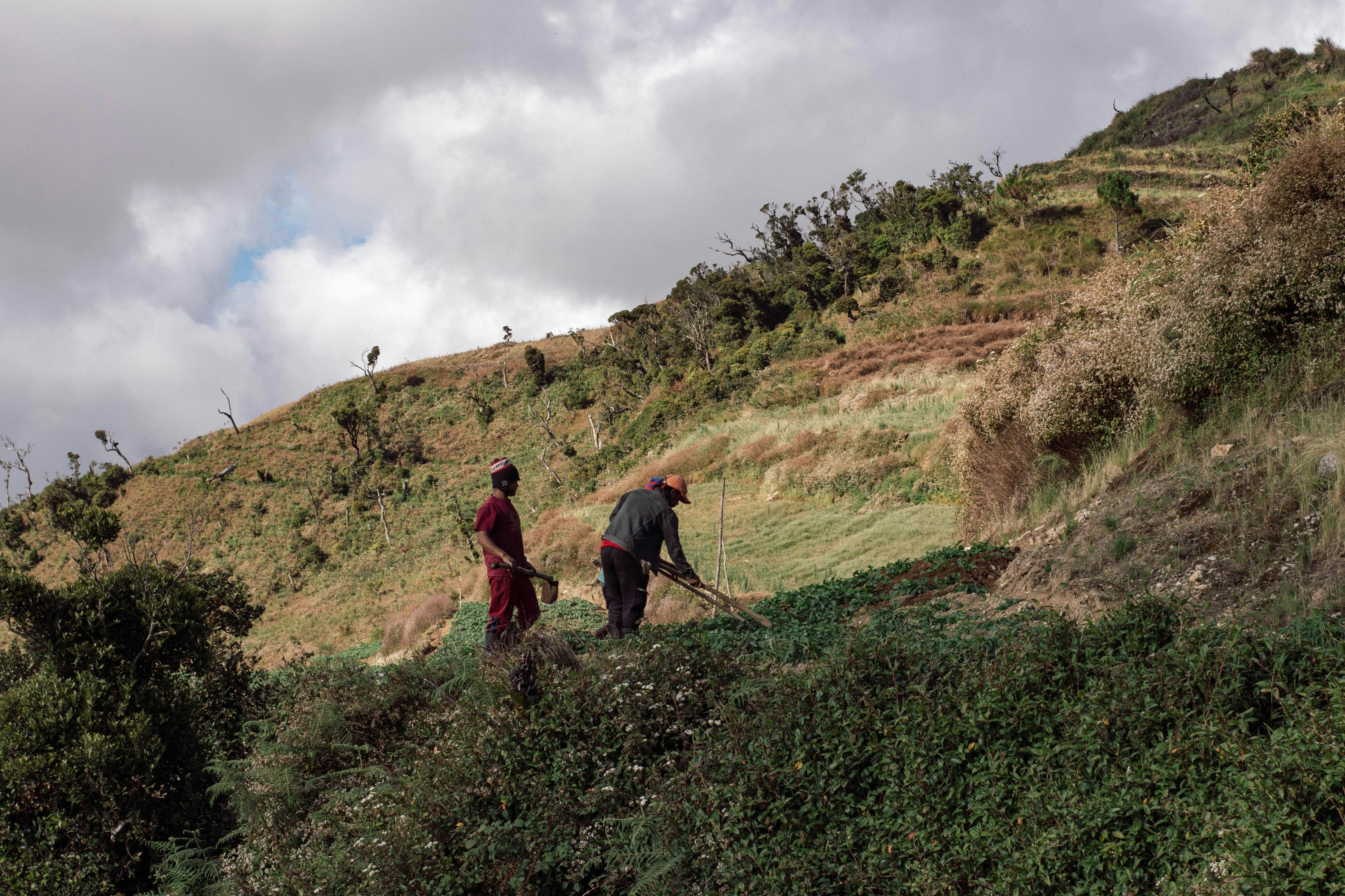 Local Farmers · Free Stock Photo