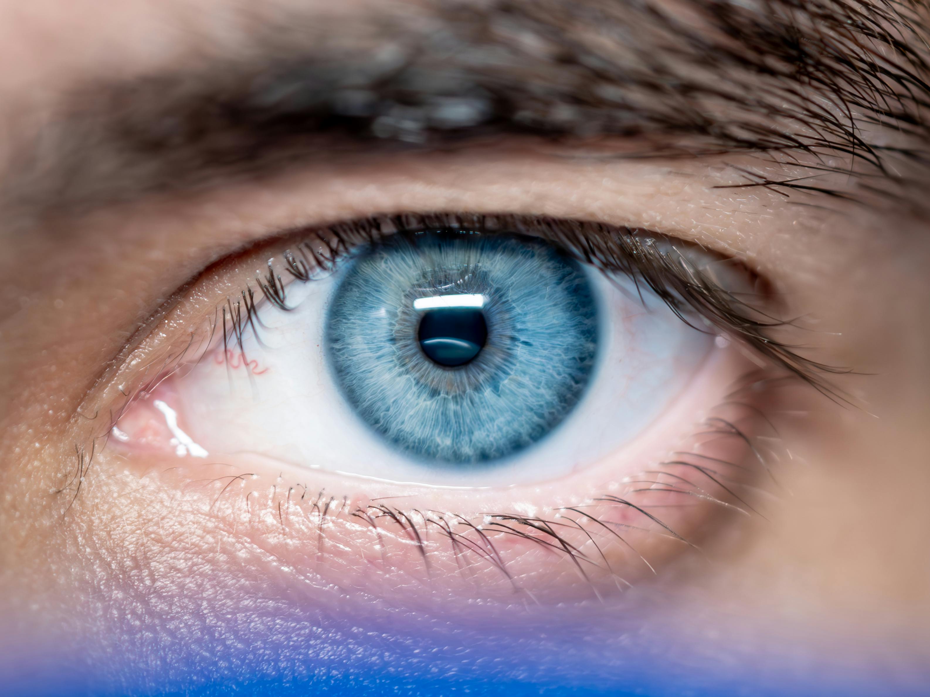 Blue eye · Free Stock Photo