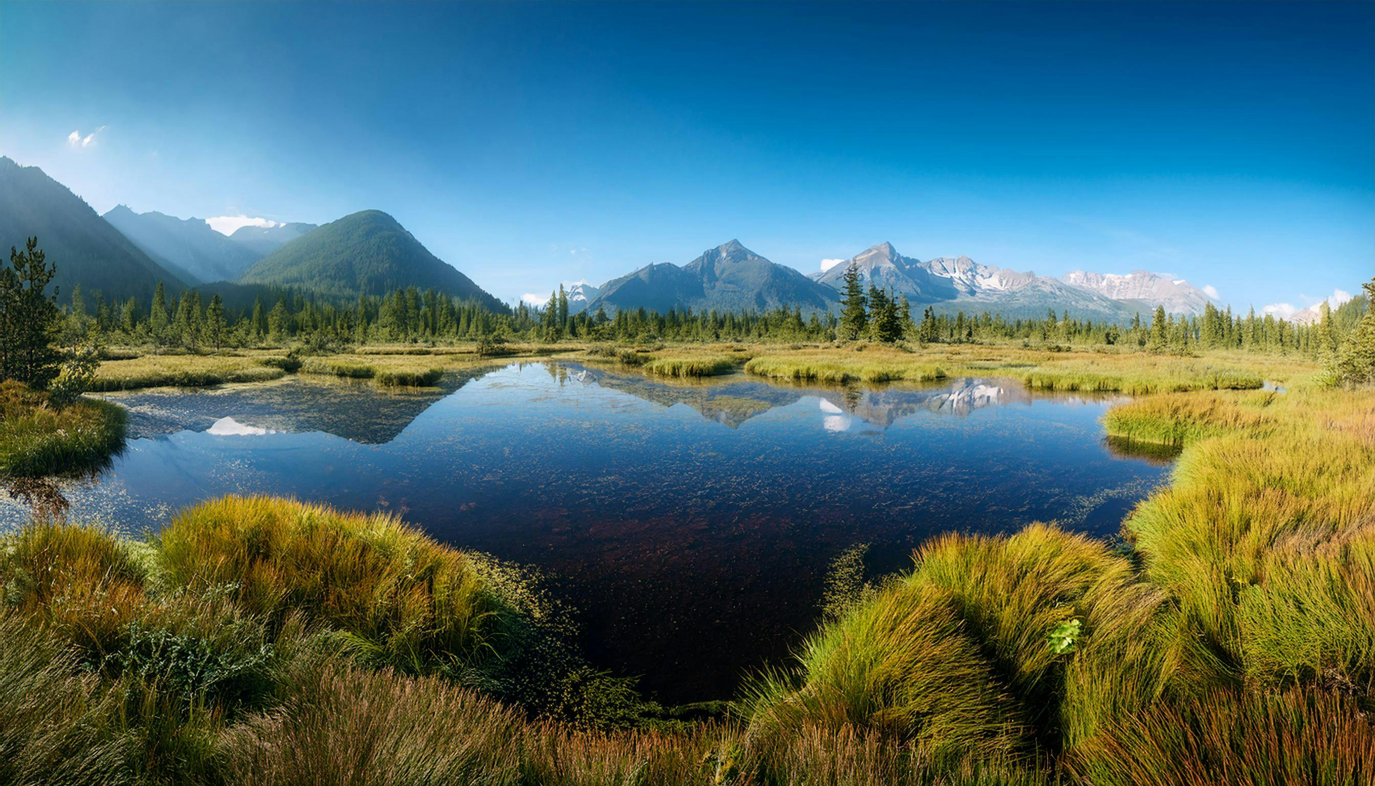 800.000+ Foto Tree And Blur Background Terbaik · Unduh Gratis 100% ...