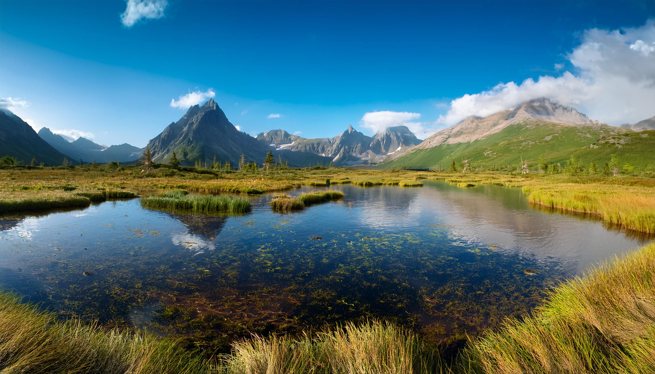 500.000+ Foto Water Reflection Terbaik · Unduh Gratis 100% · Foto Stok ...